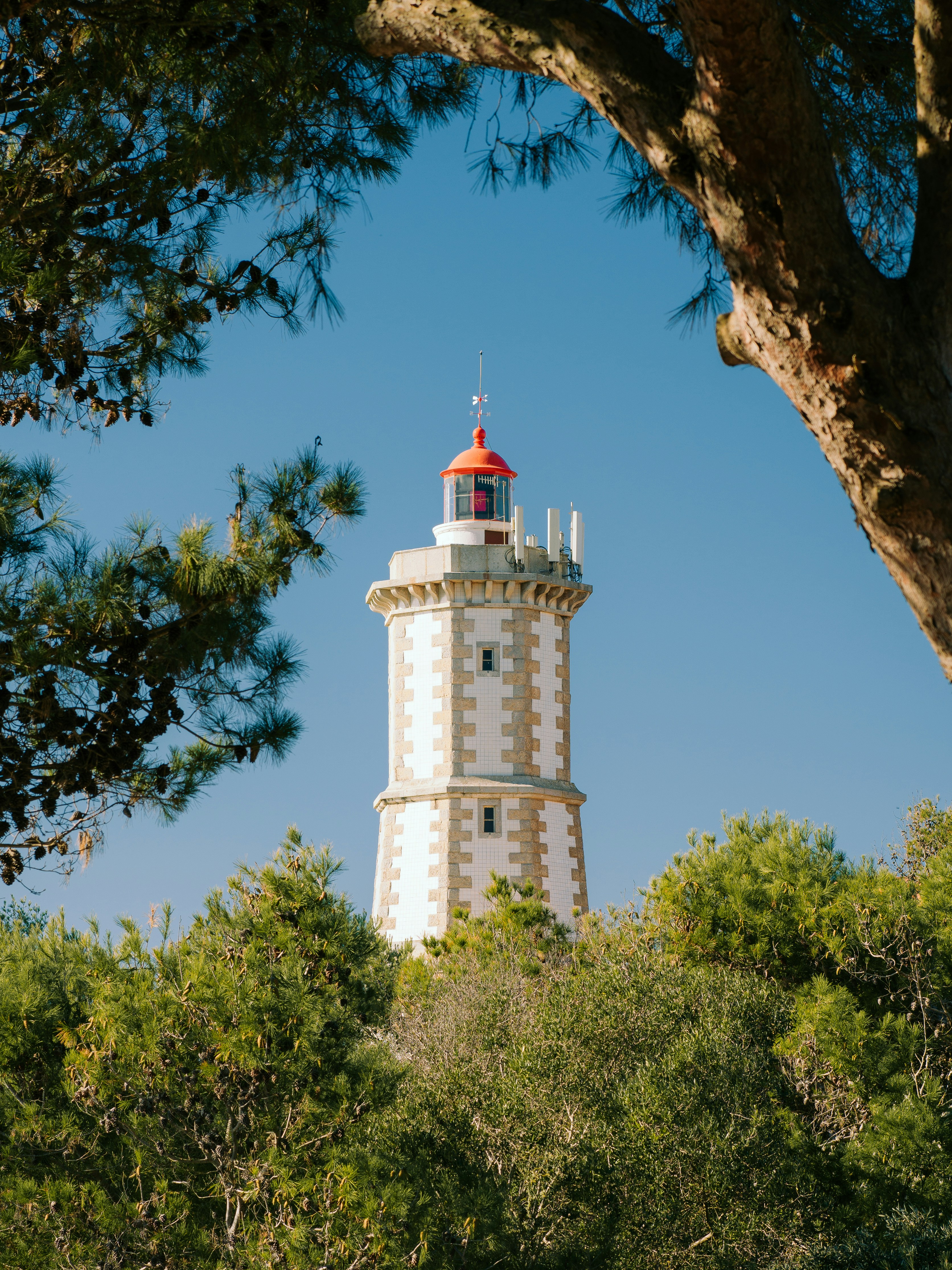 Lighthouse tower surrounded by green trees under blue sky