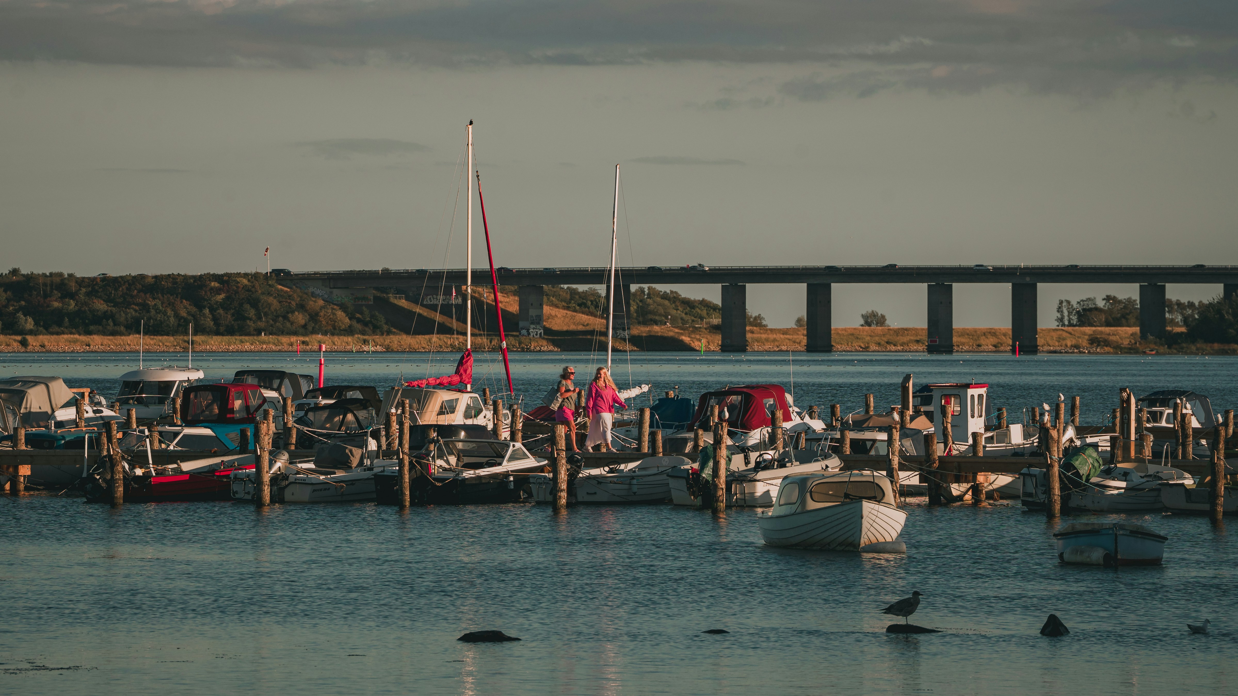 Dockside Quiet: Boats Rest Along a Shoreline Pier at Dusk