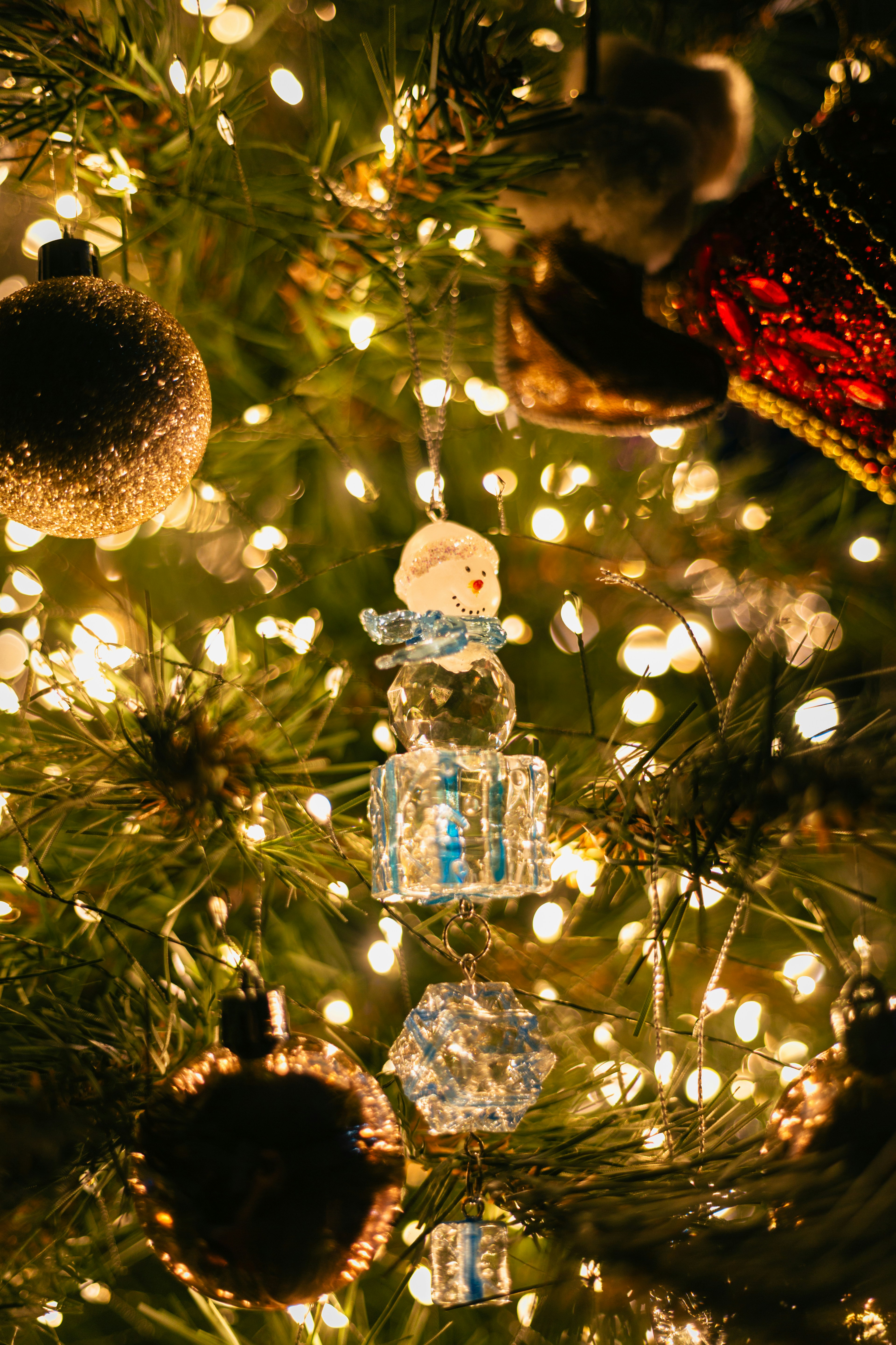 Photo by Ivan Baton with Canon EOS 5D Mark III