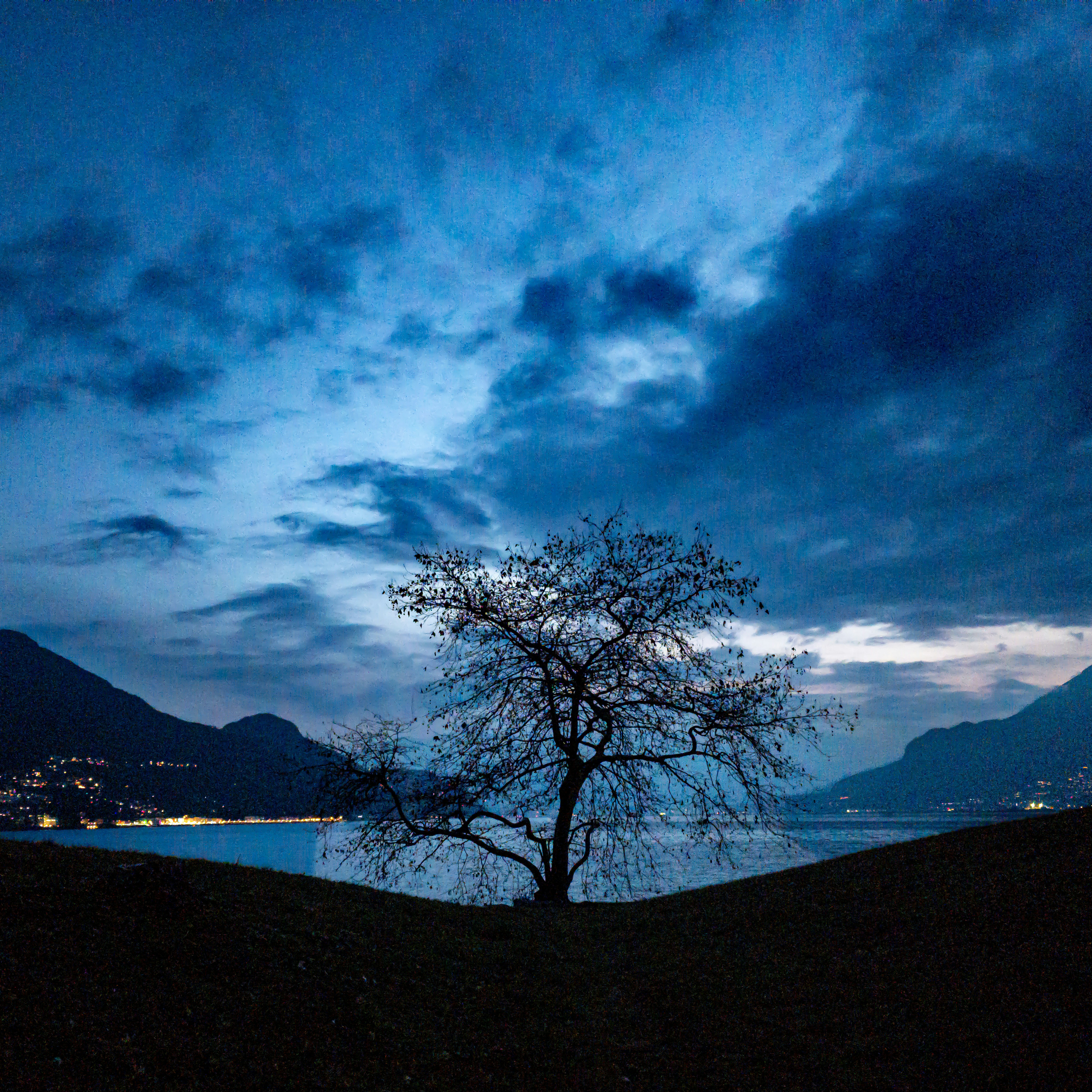 Lone Tree by the Quiet Lake at Dusk