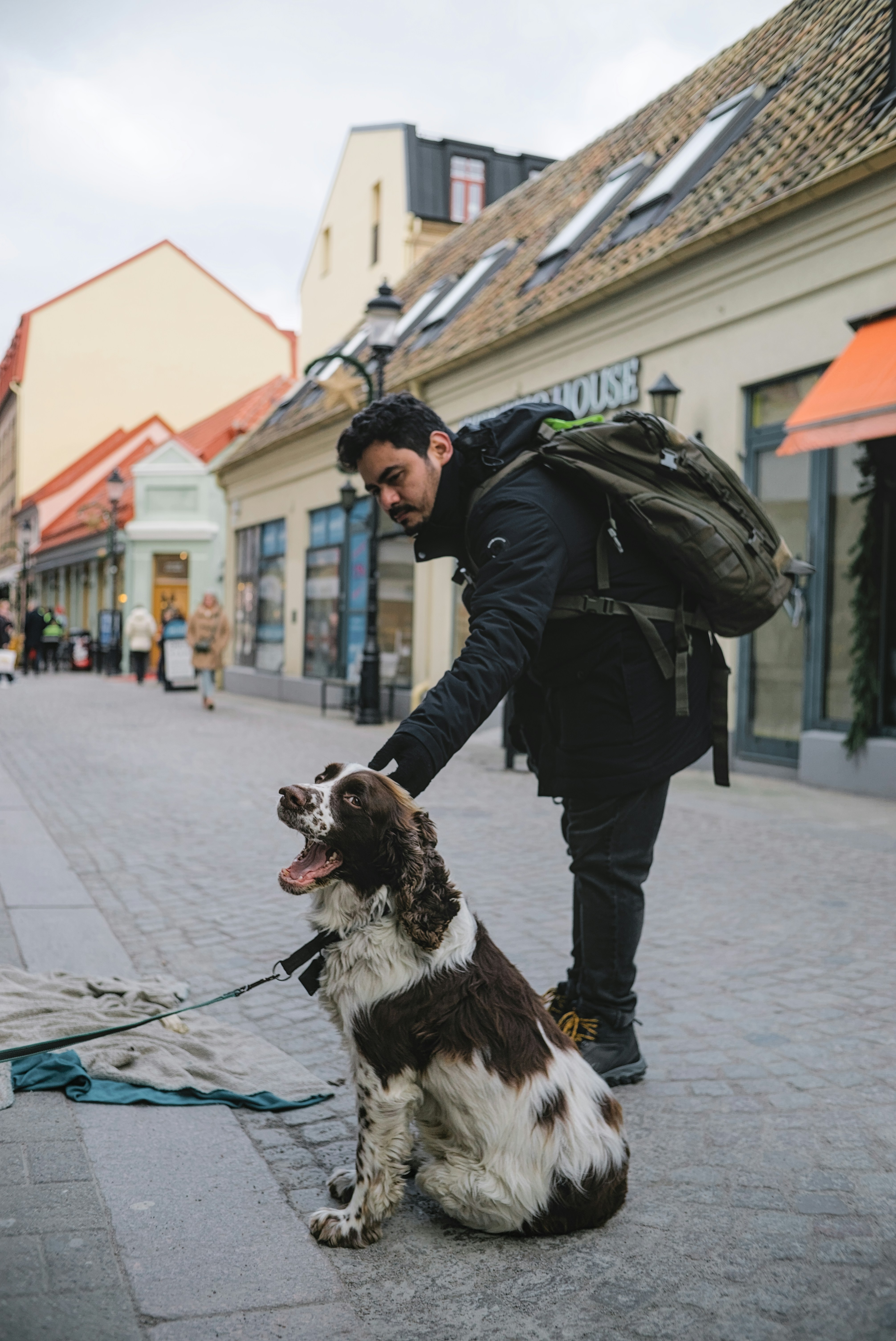 Guide and Retriever: A Street Portrait in Focus