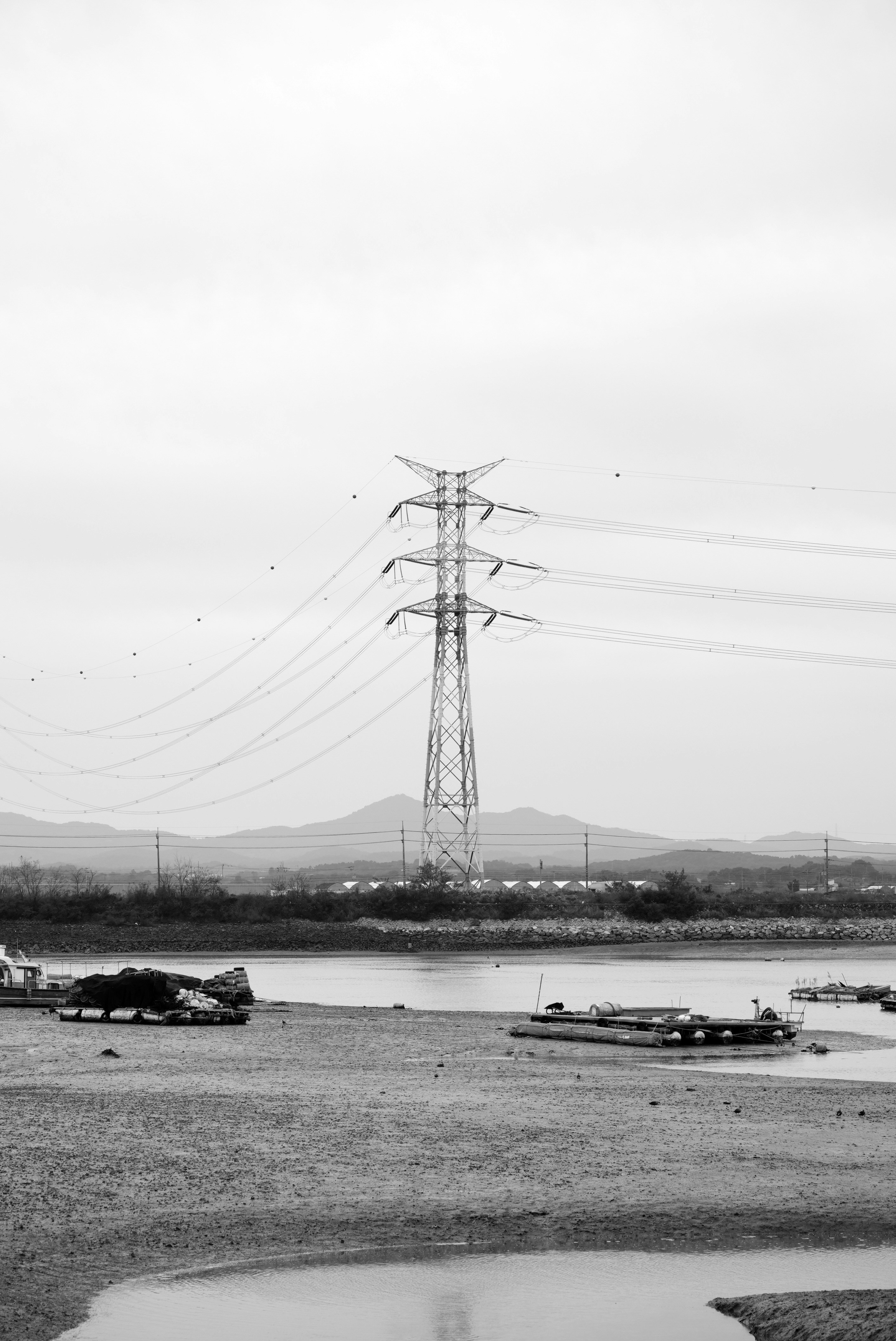 Power Lines Over a Quiet Shoreline