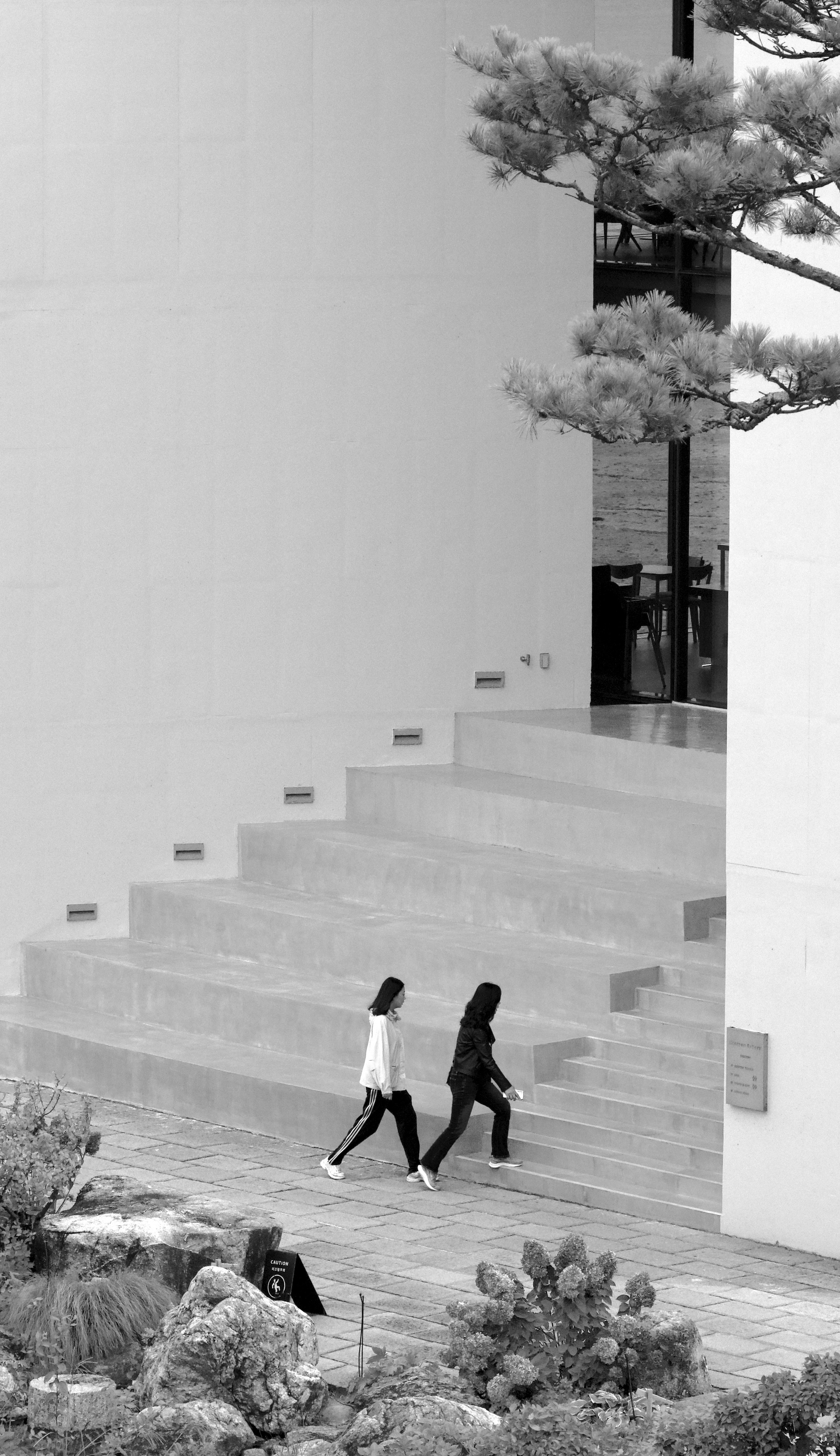 Two Walkers Ascend the Steps by a Modern Building