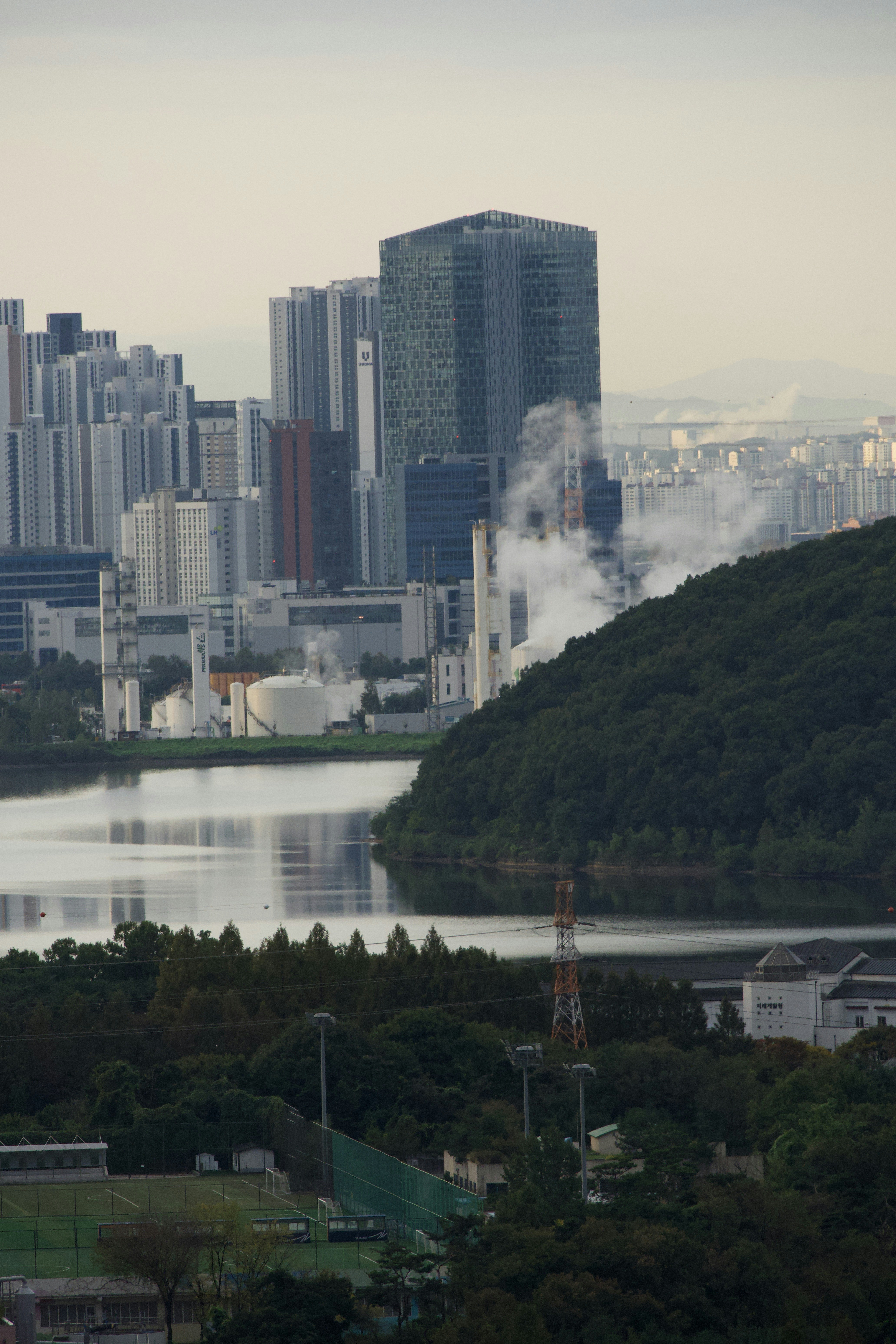 Urban Cascade: Skyline Meeting the Green Hill