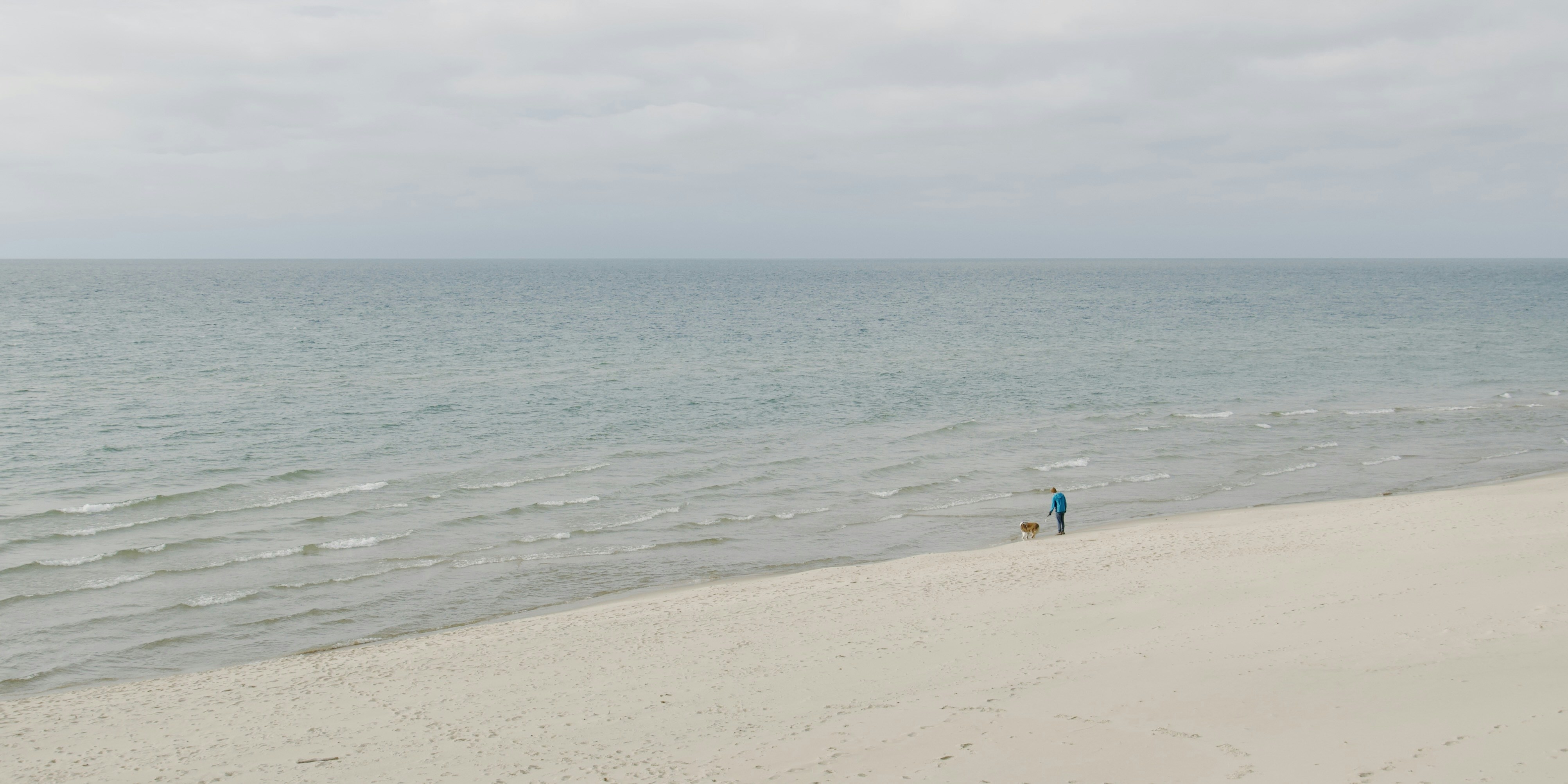 Persona con perro en una playa de arena junto al mar. foto – Imagen de ...