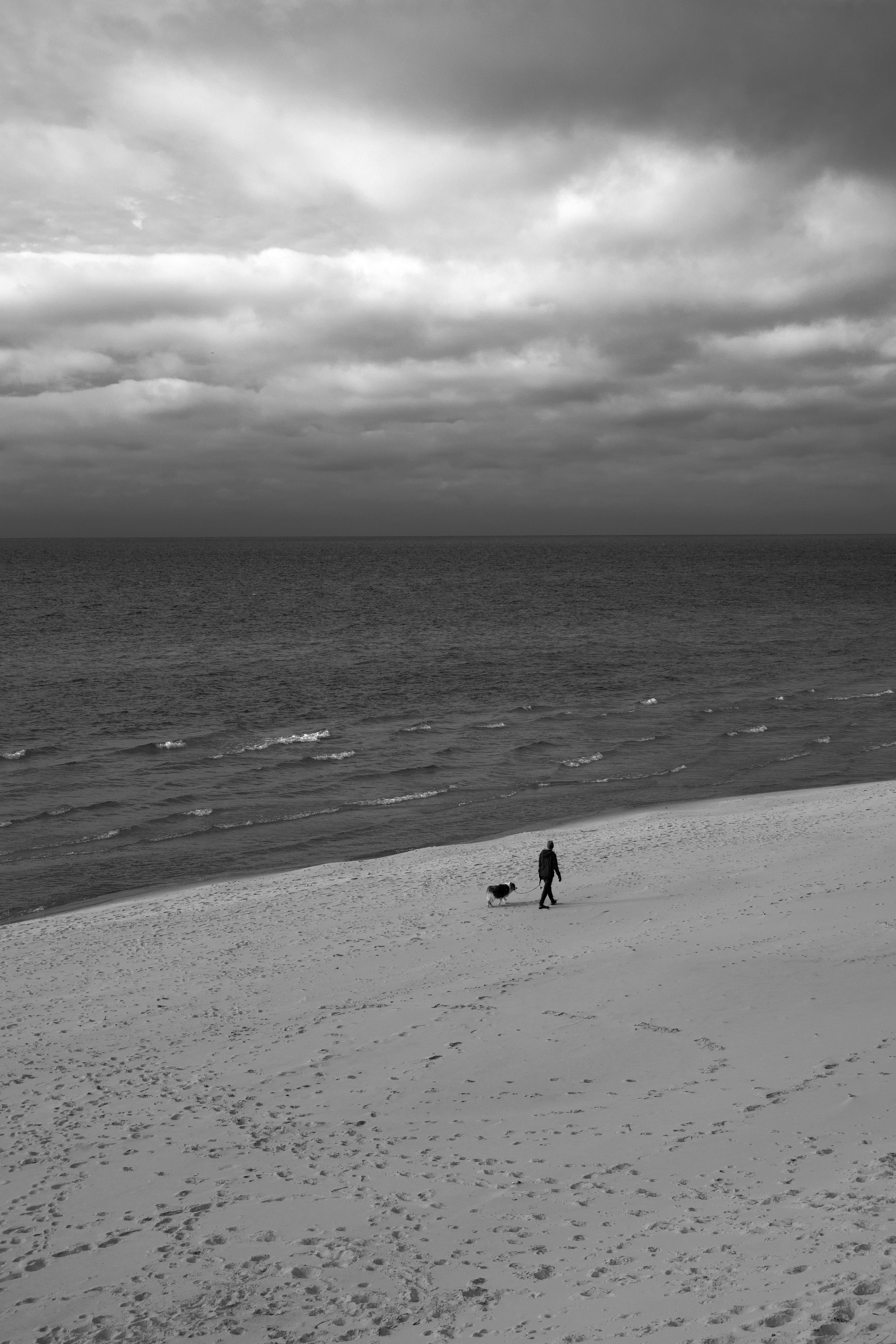 Solitary Walker and Dog on a Quiet Beach at Dusk