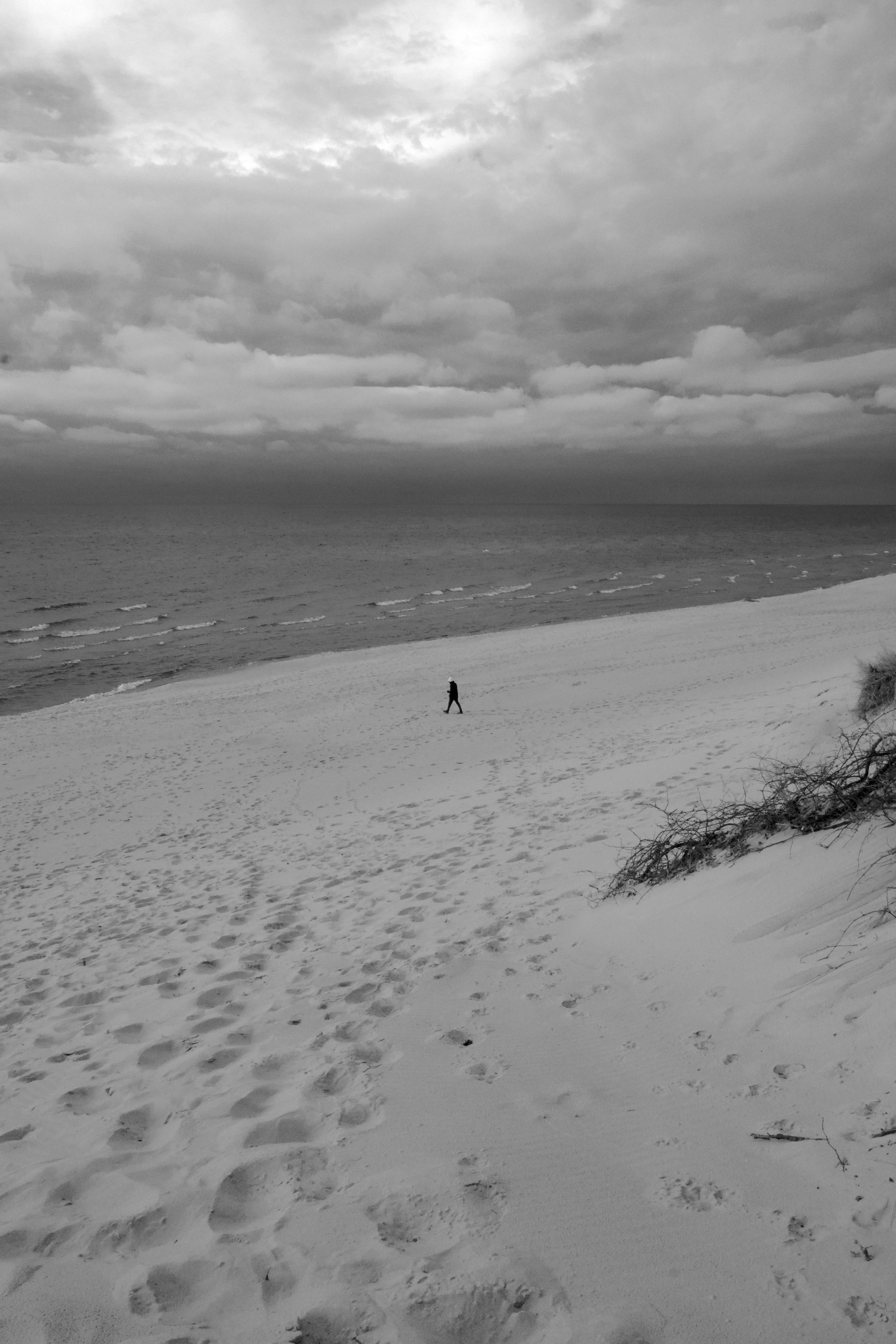 Solo Wanderer on a Wind-Swept Dune