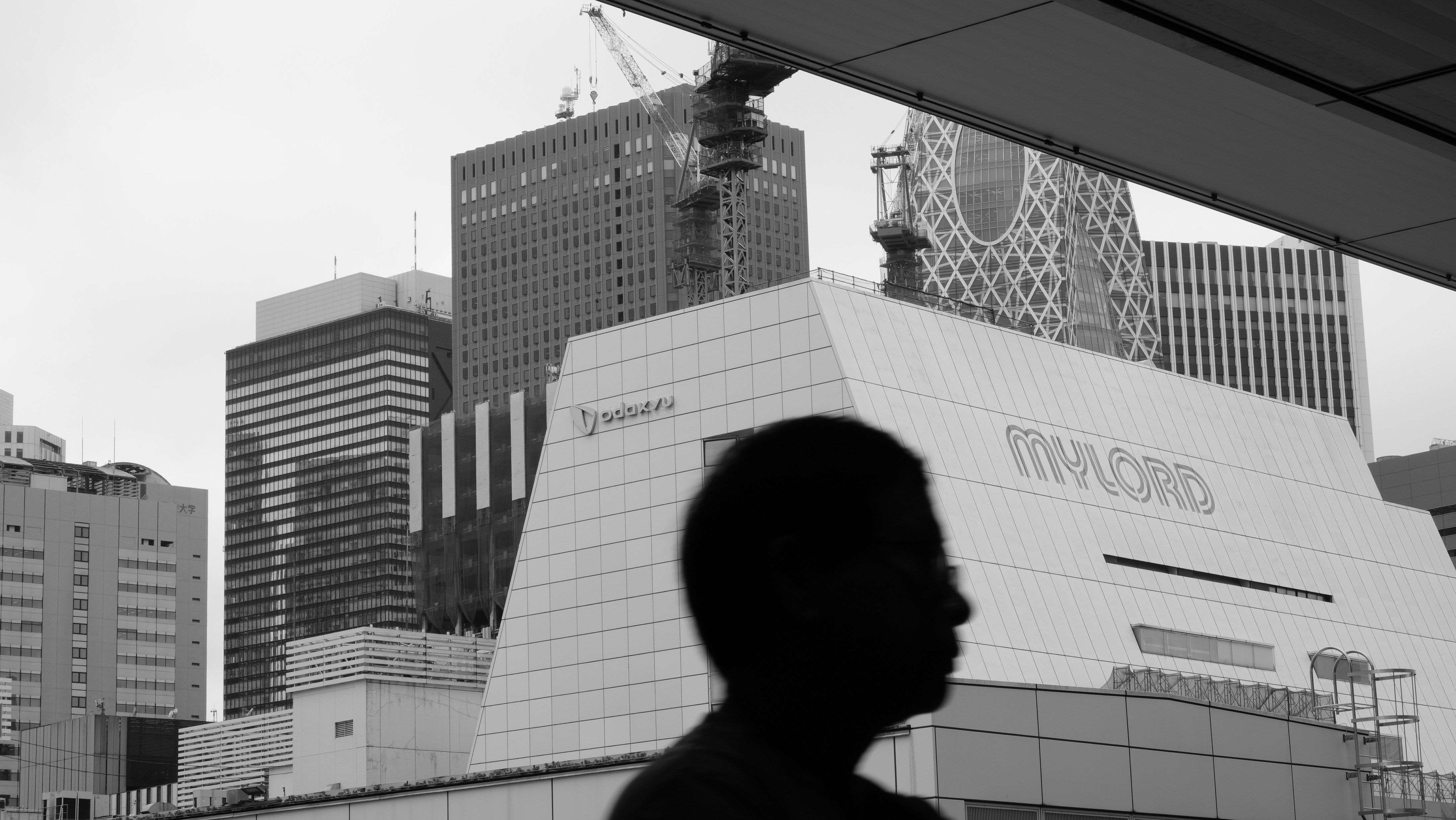 Shadowed Forefront: A Silhouette Among City Skyscrapers