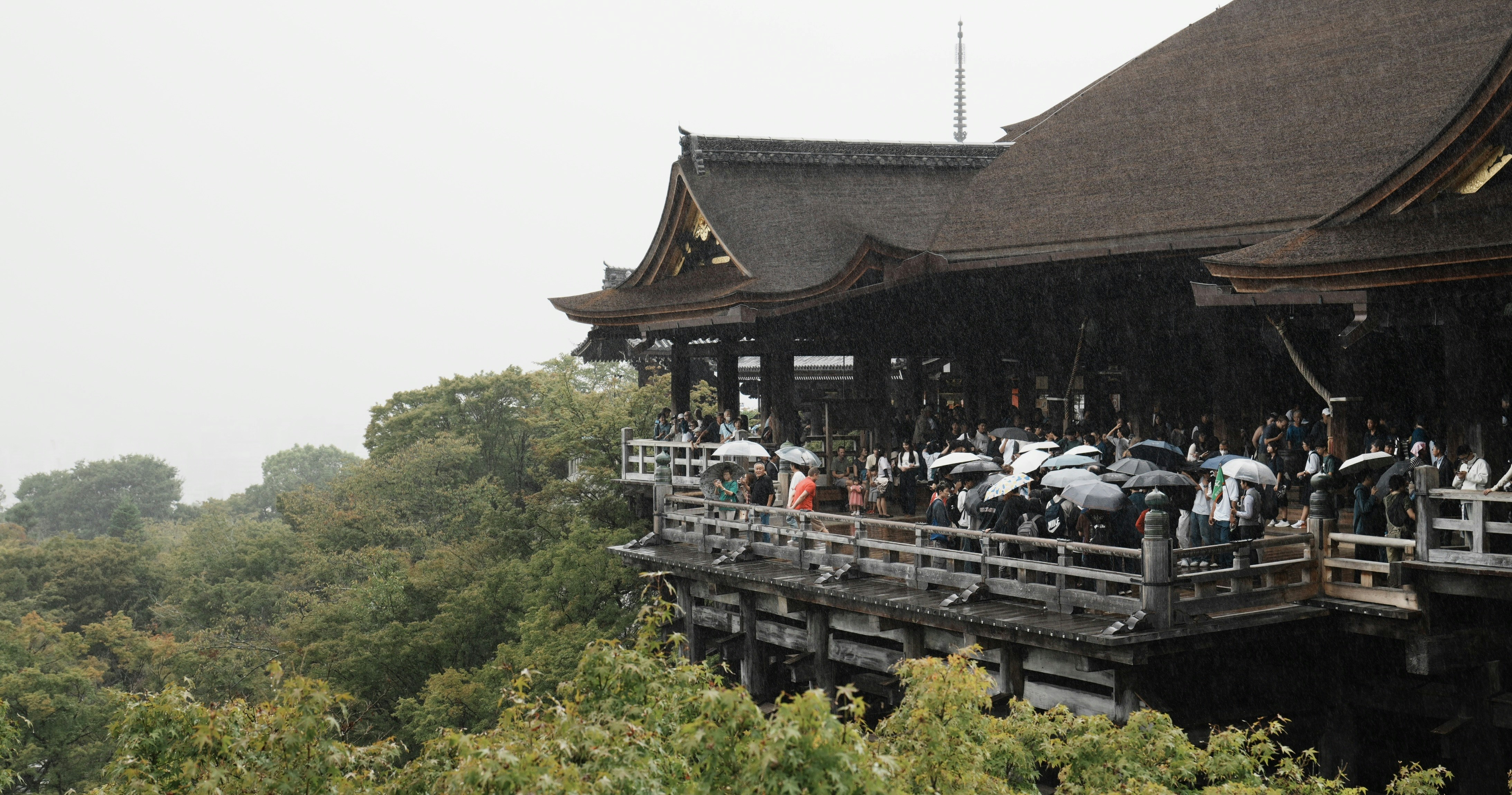 Crowded Corona of the Hall: A Kyoto Temple Balcony Teems with Visitors