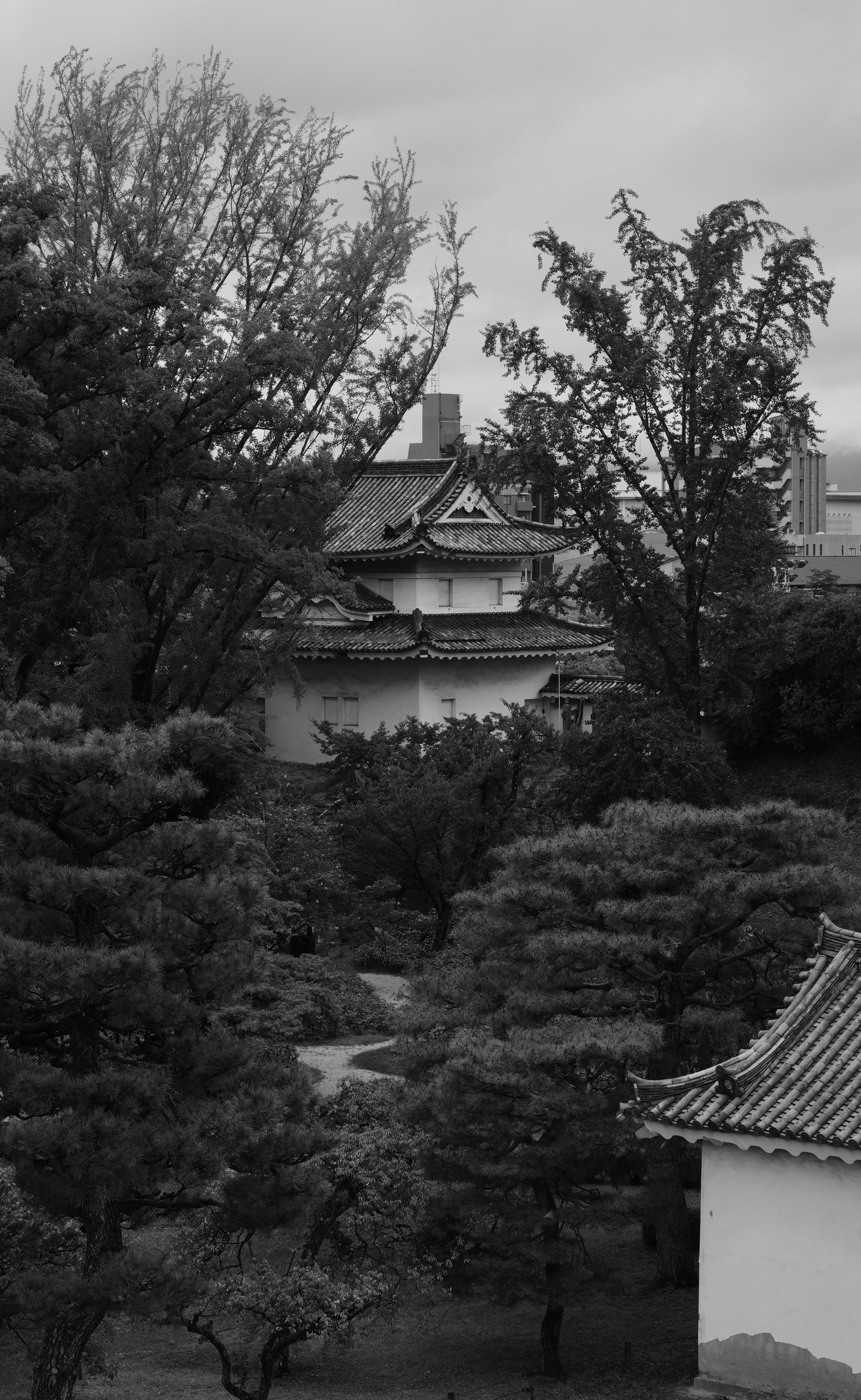Pagoda Roofs Between Quiet Pines