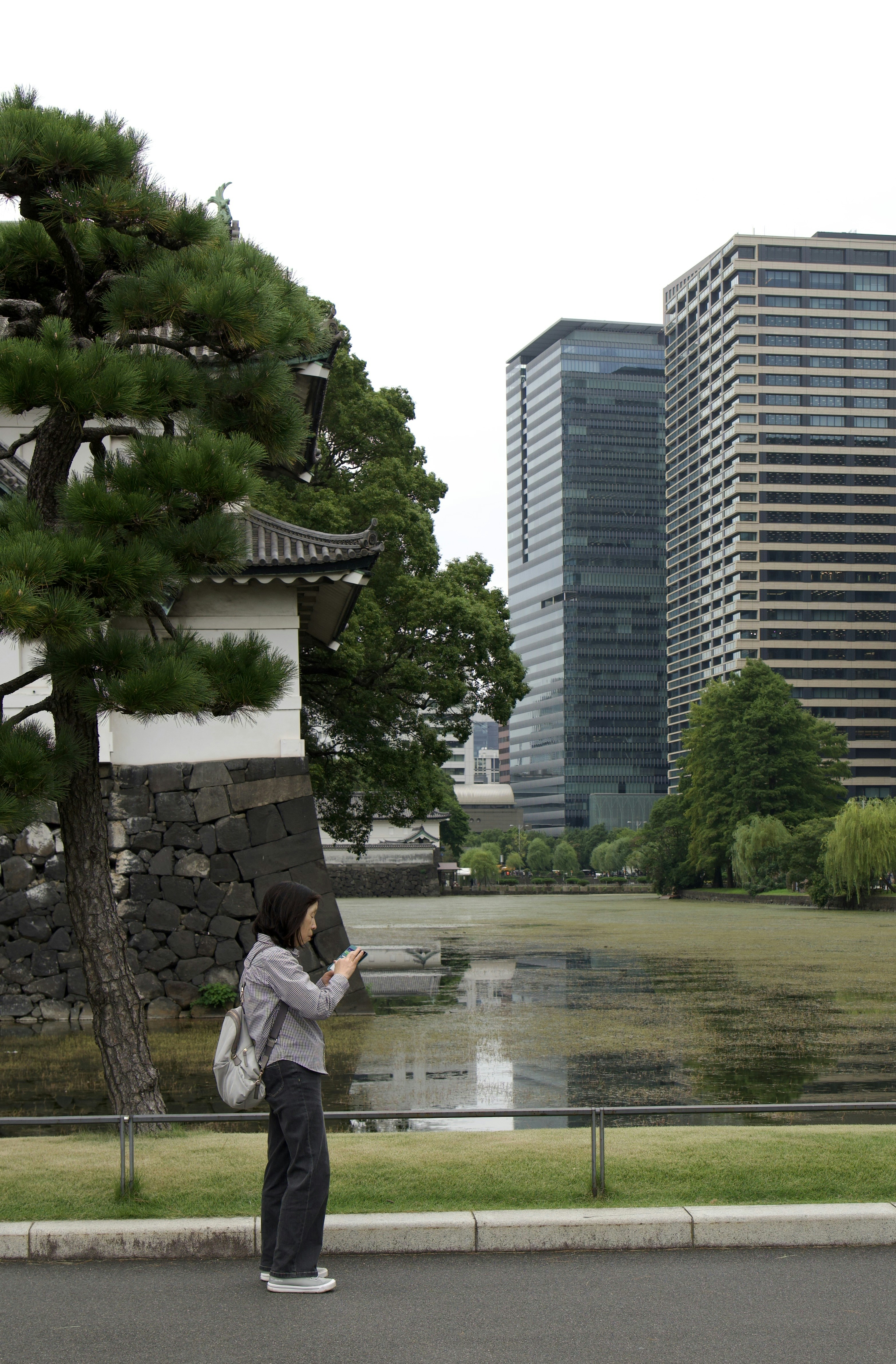 Pedestrian Amid Timeless and Modern: A Woman with a Phone by the Castle Garden