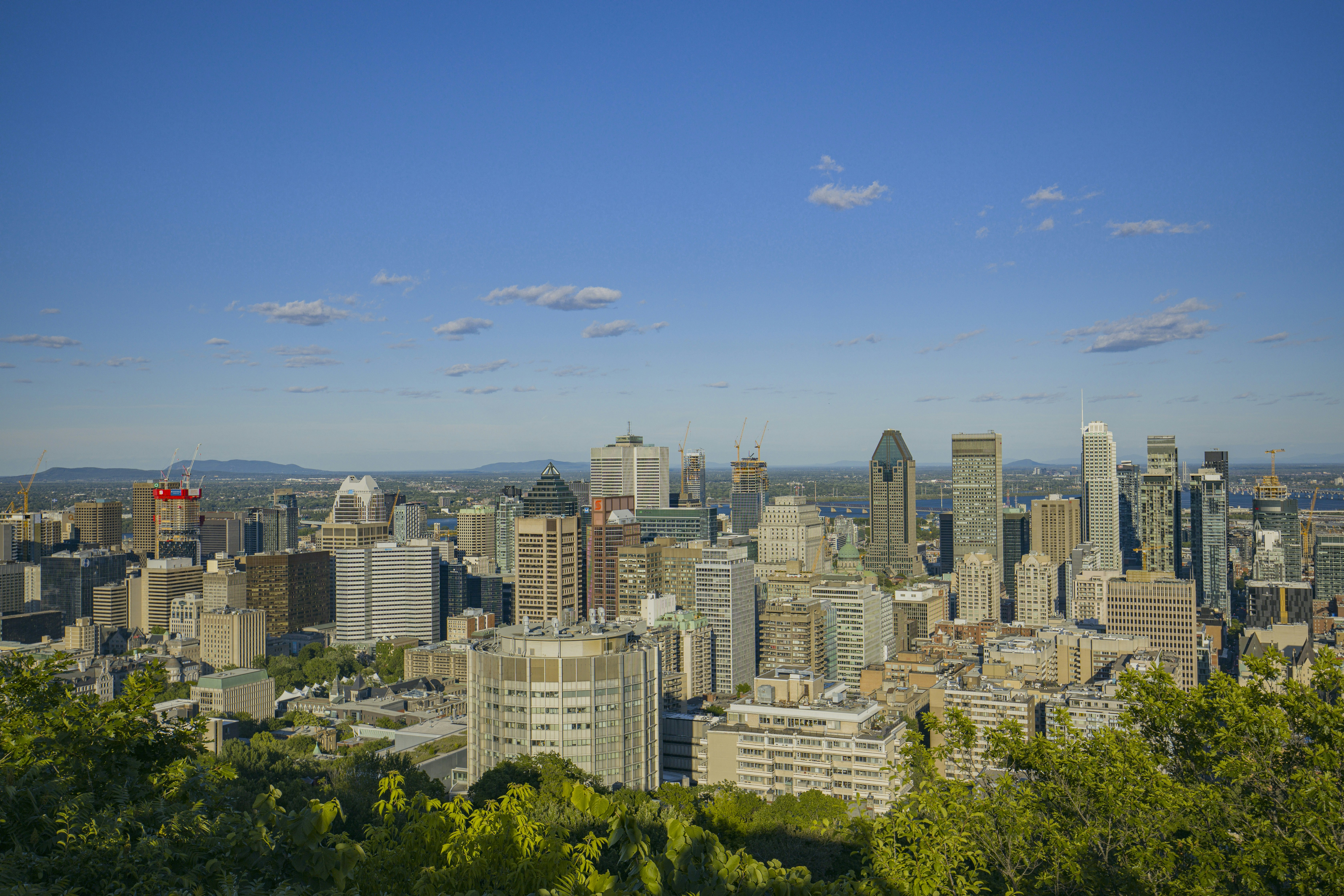 Cityscape in Bloom: A Brightpanorama from the Hills