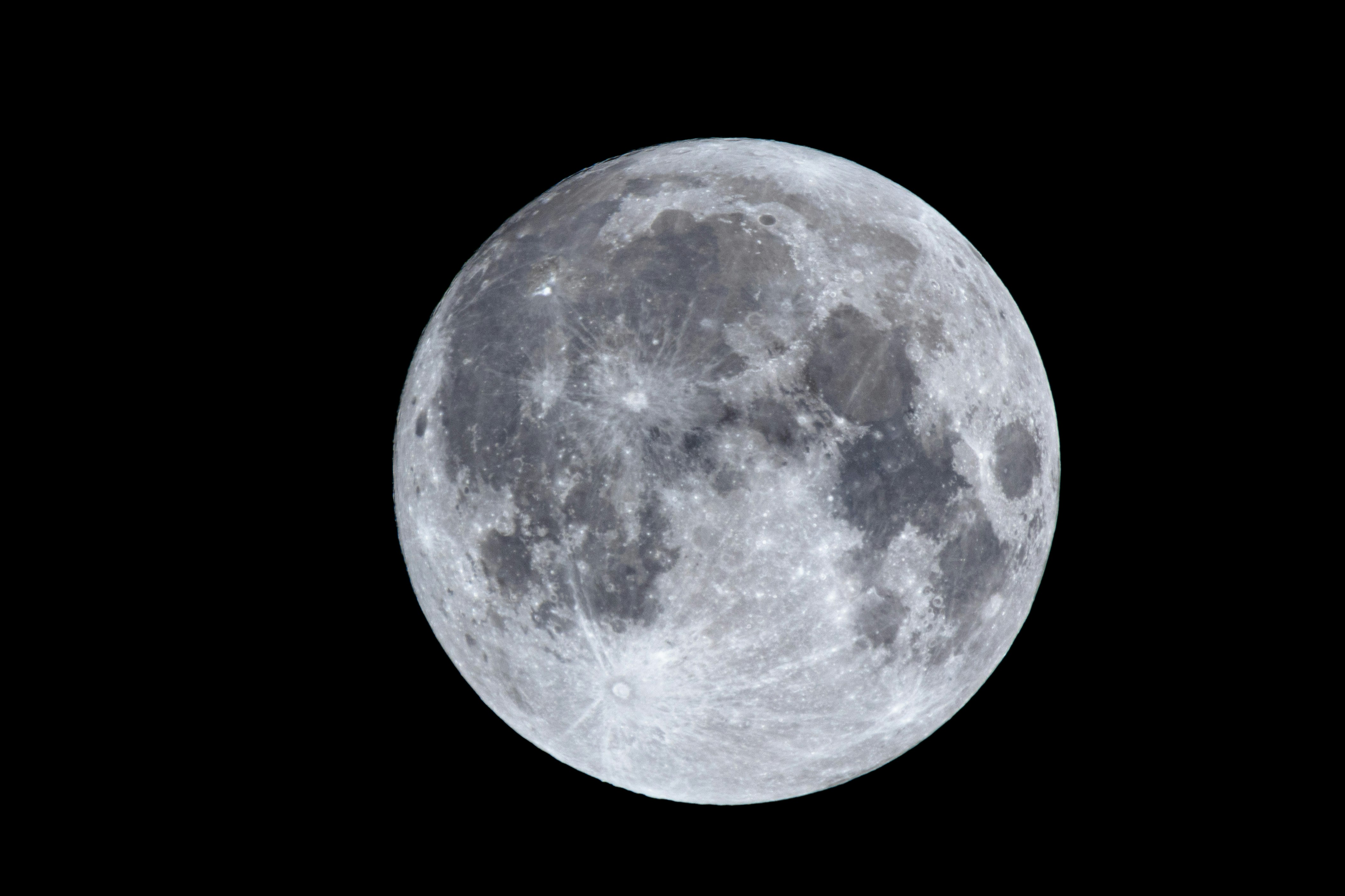 Photo by Andrei Costin with Canon EOS R