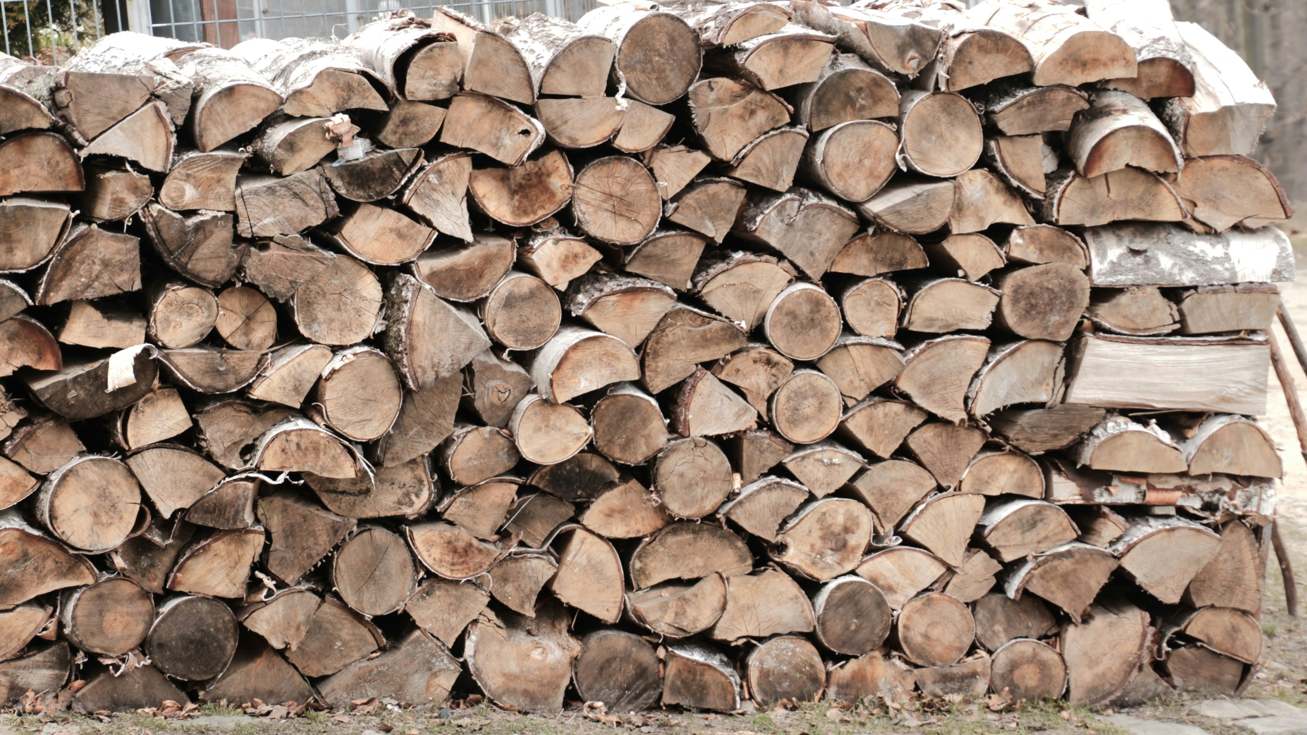 Harvested Stack: Rough-hewn Logs Ready for Firewood