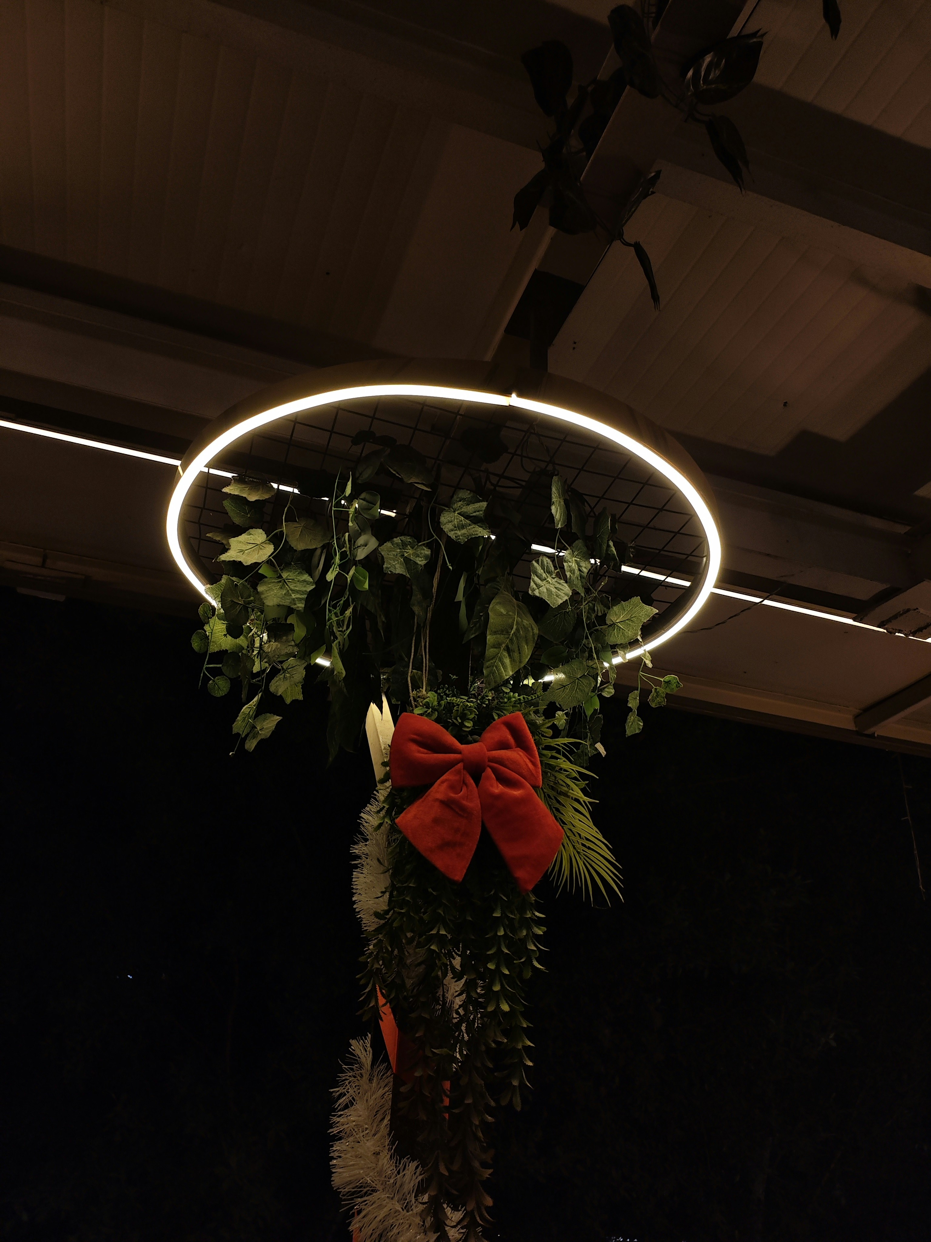 Hanging plant with red bow and glowing ring