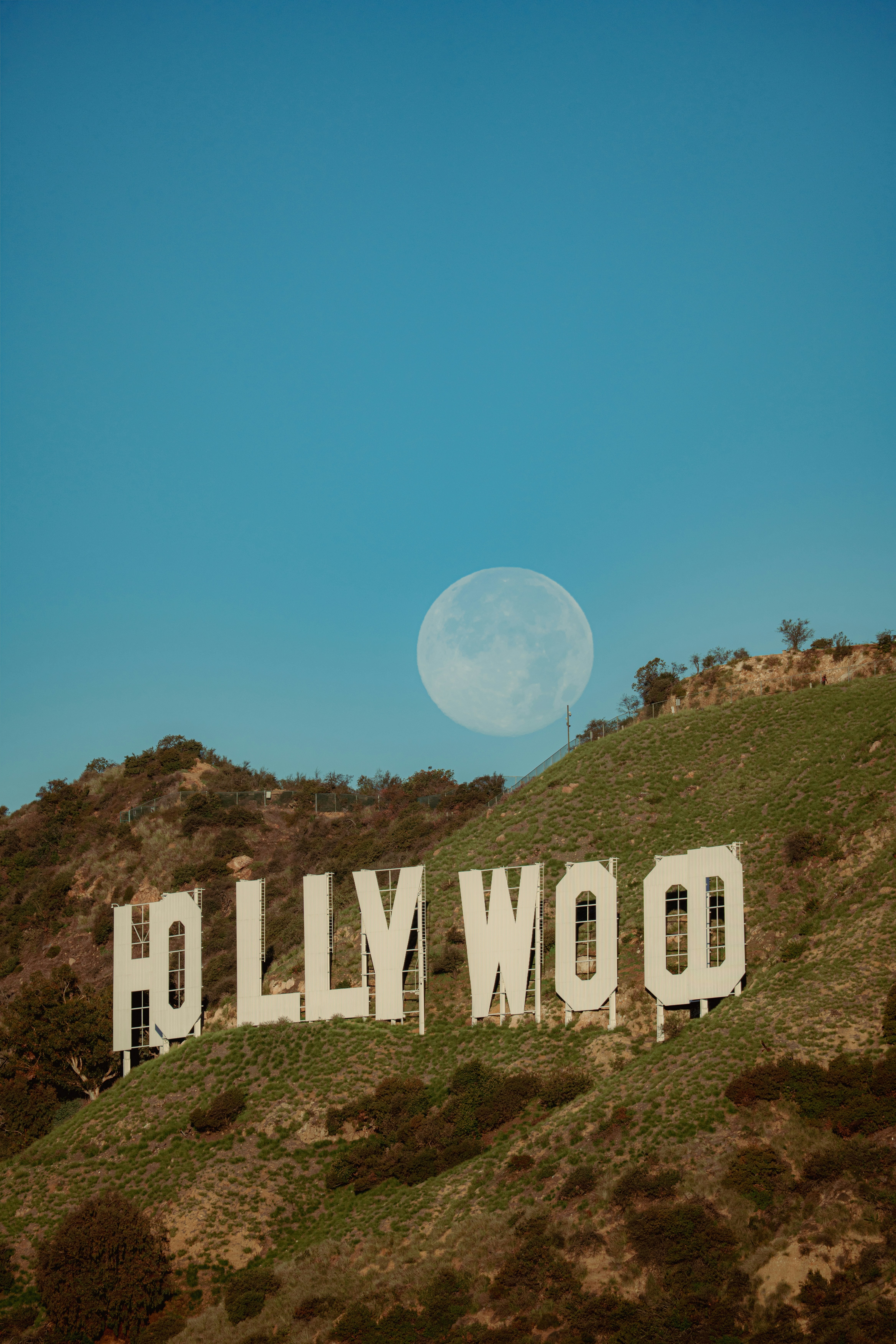 Photo by Venti Views