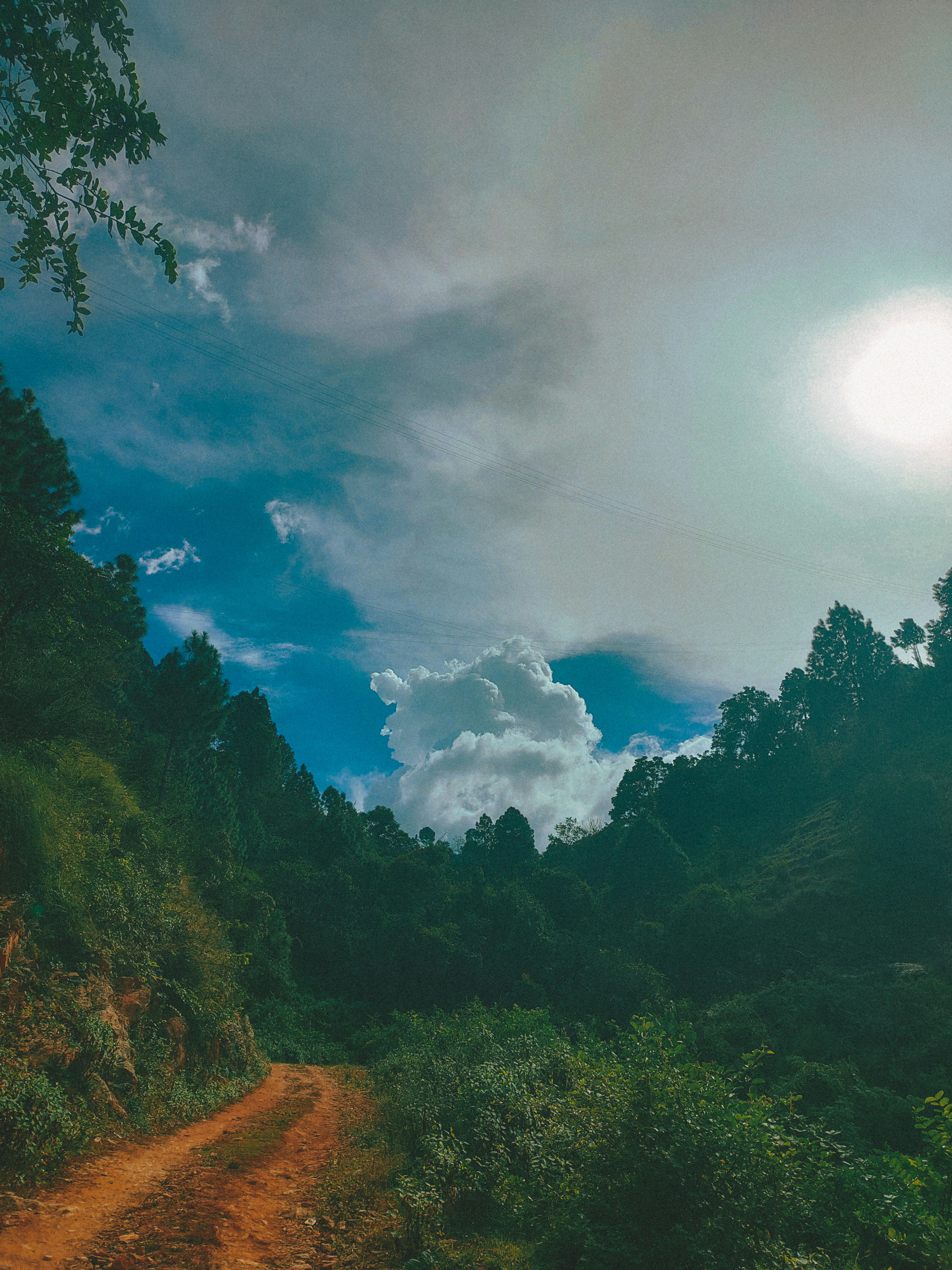 Dusty Path Through a Verdant Canyon Under a Bright Noon Sky