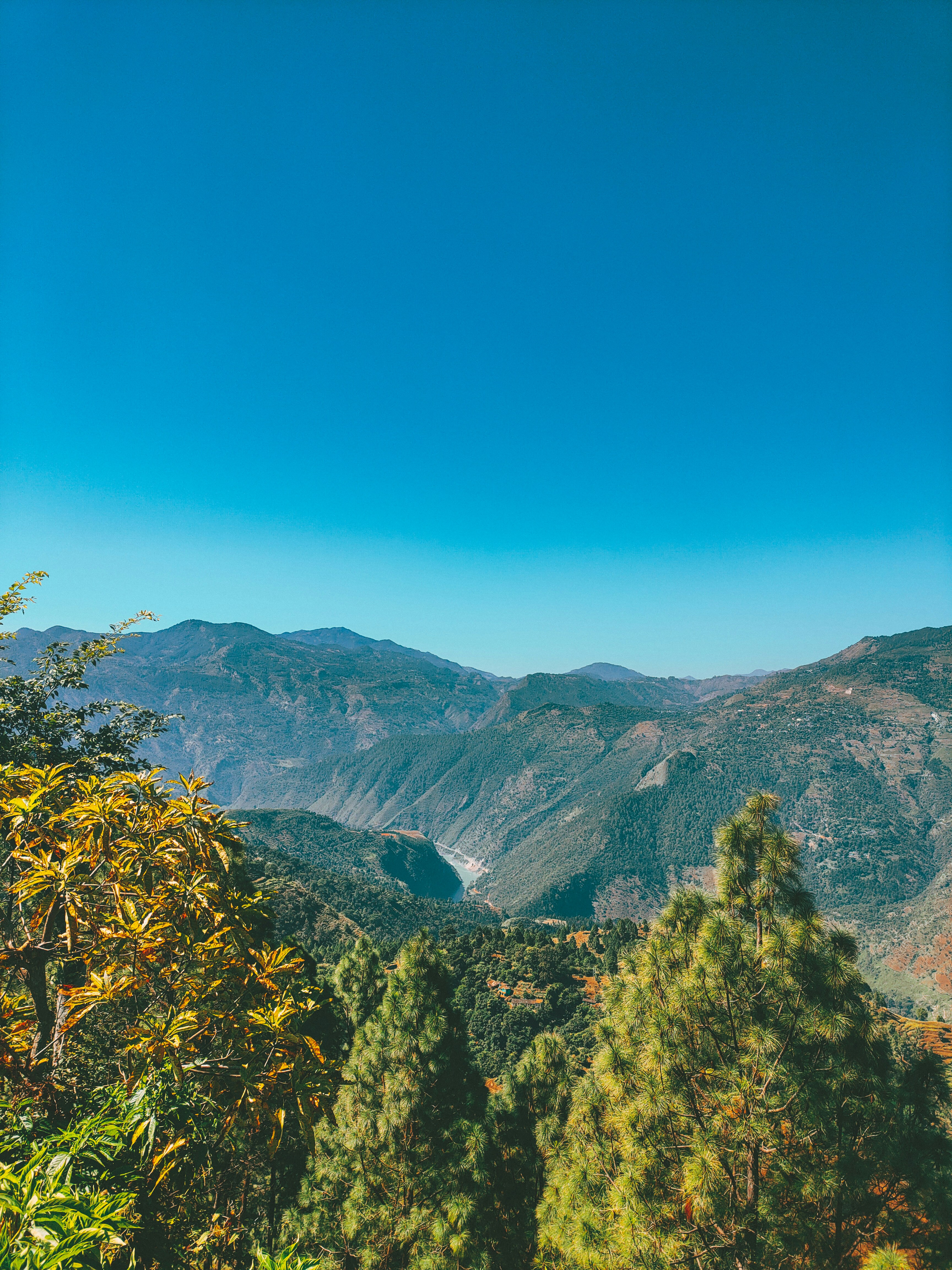 Valley Vista: A Quiet Climb Through Deep Green Pines