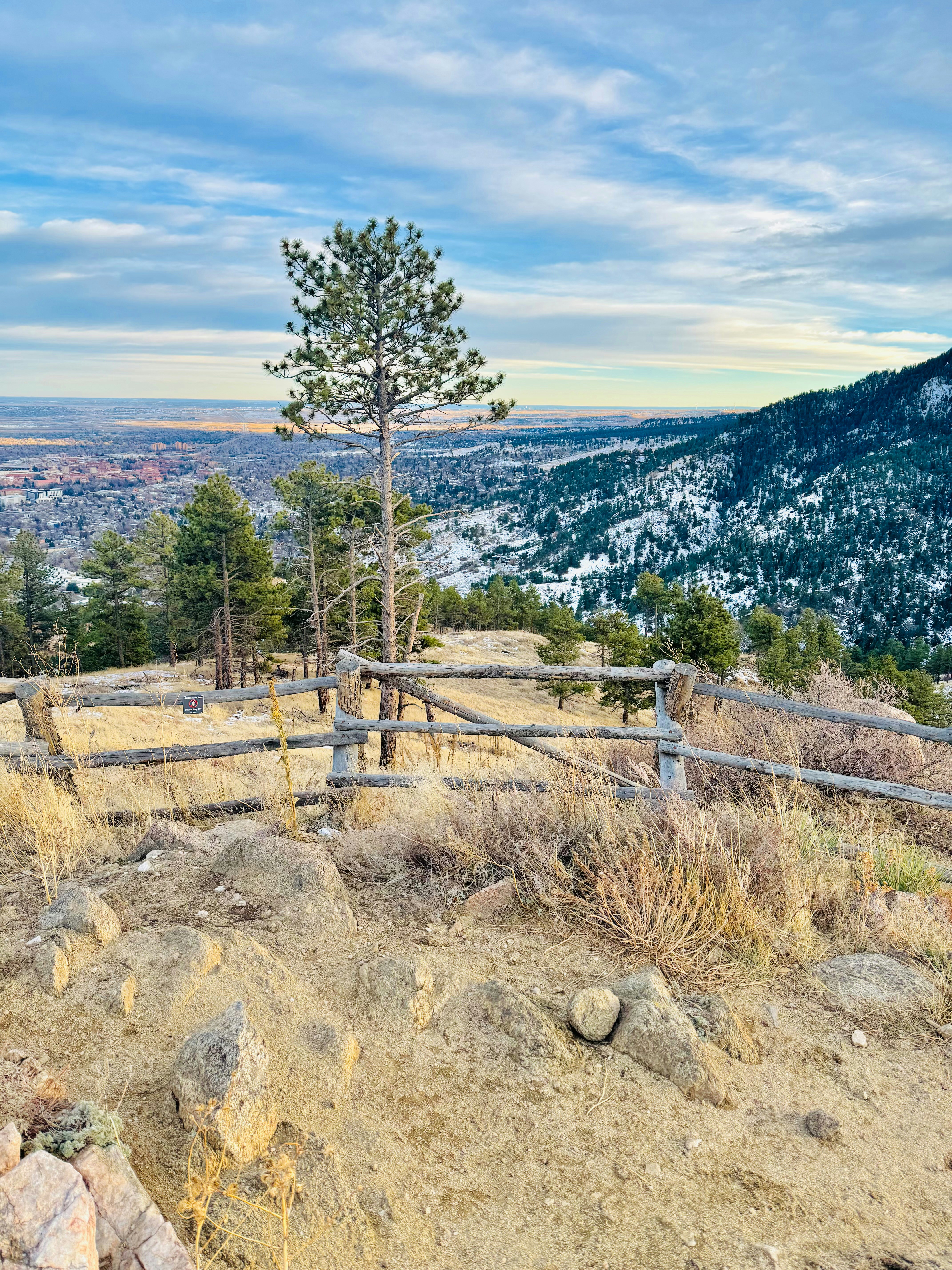 Ridge Overlook: A Lonely Pine Beneath a Painted Sky