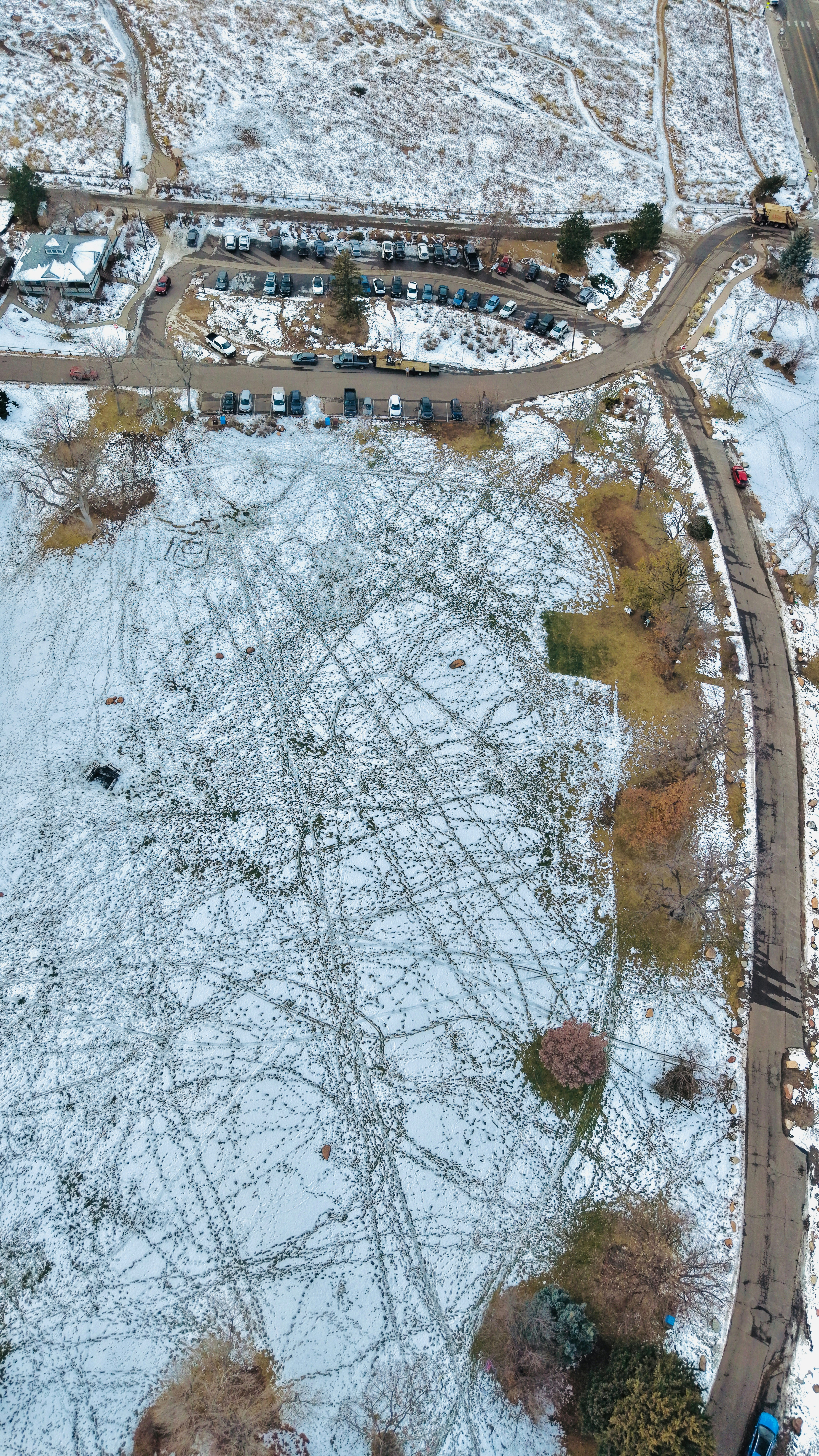 Snow-Scattered Park with Tire-Mark Lattices