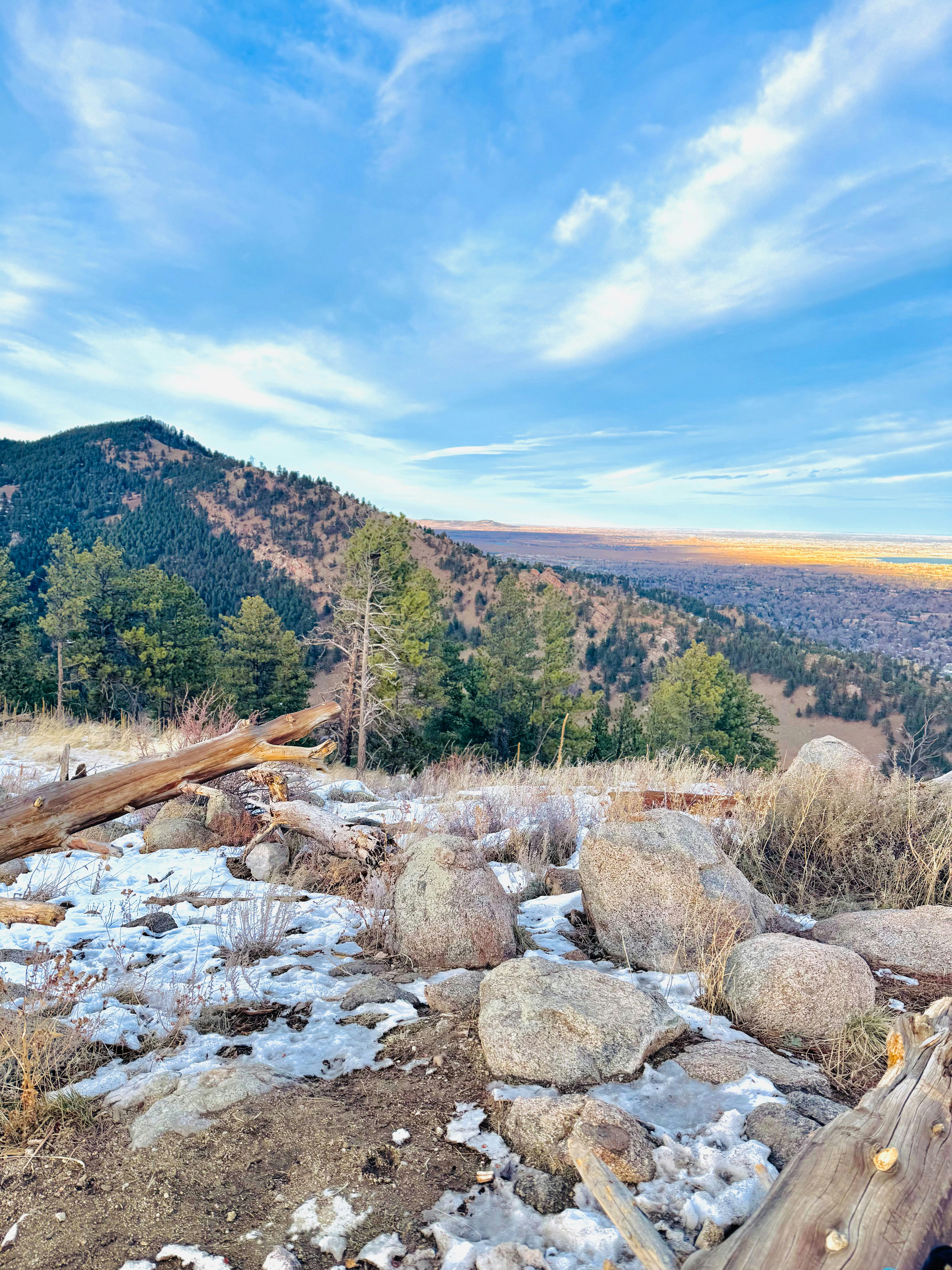 Snow-Tone Ridge: Pine, Rock, and Distant City Light
