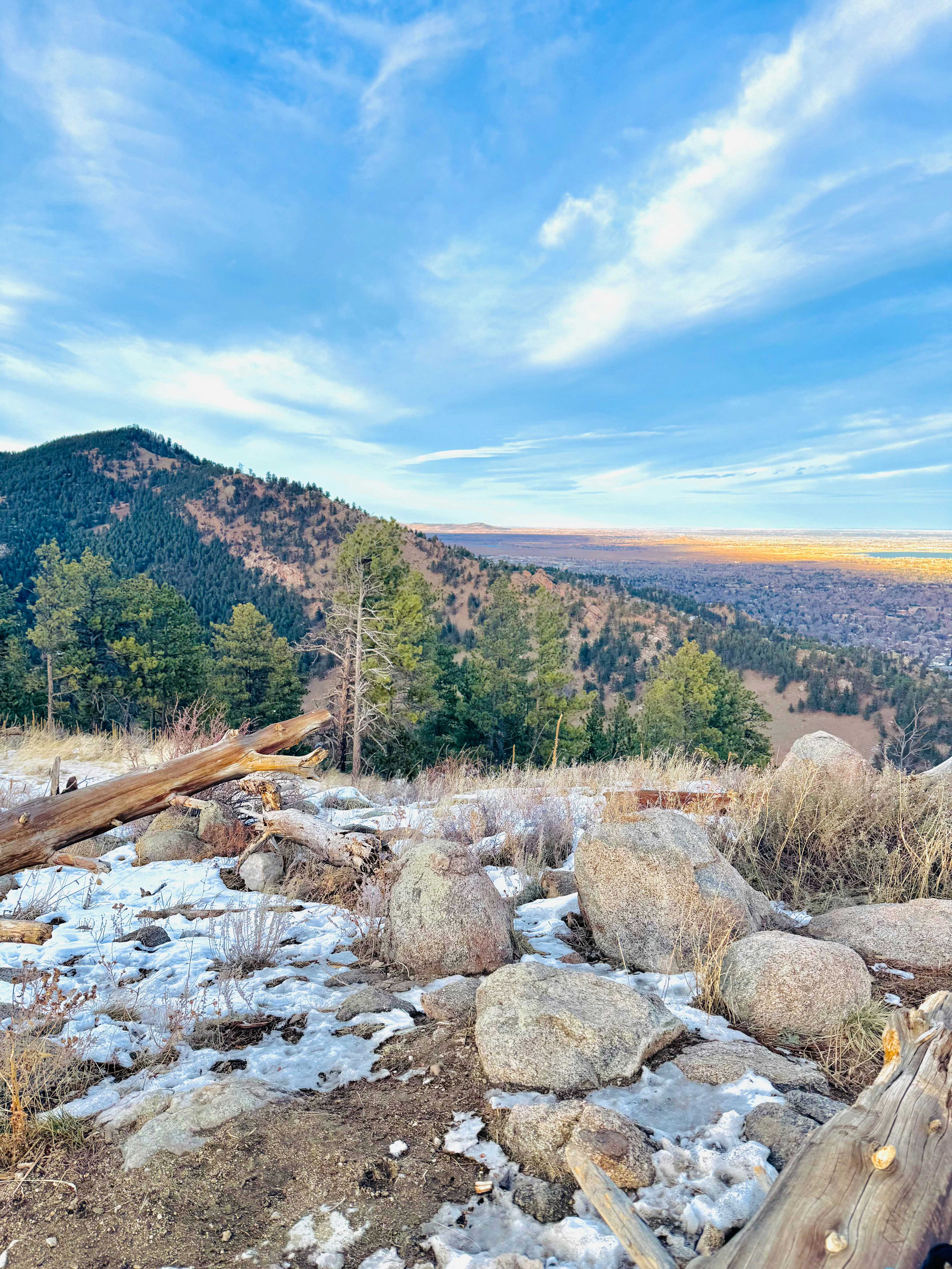 Snow-dusted foreground to pine-clad ridge under expansive blue sky