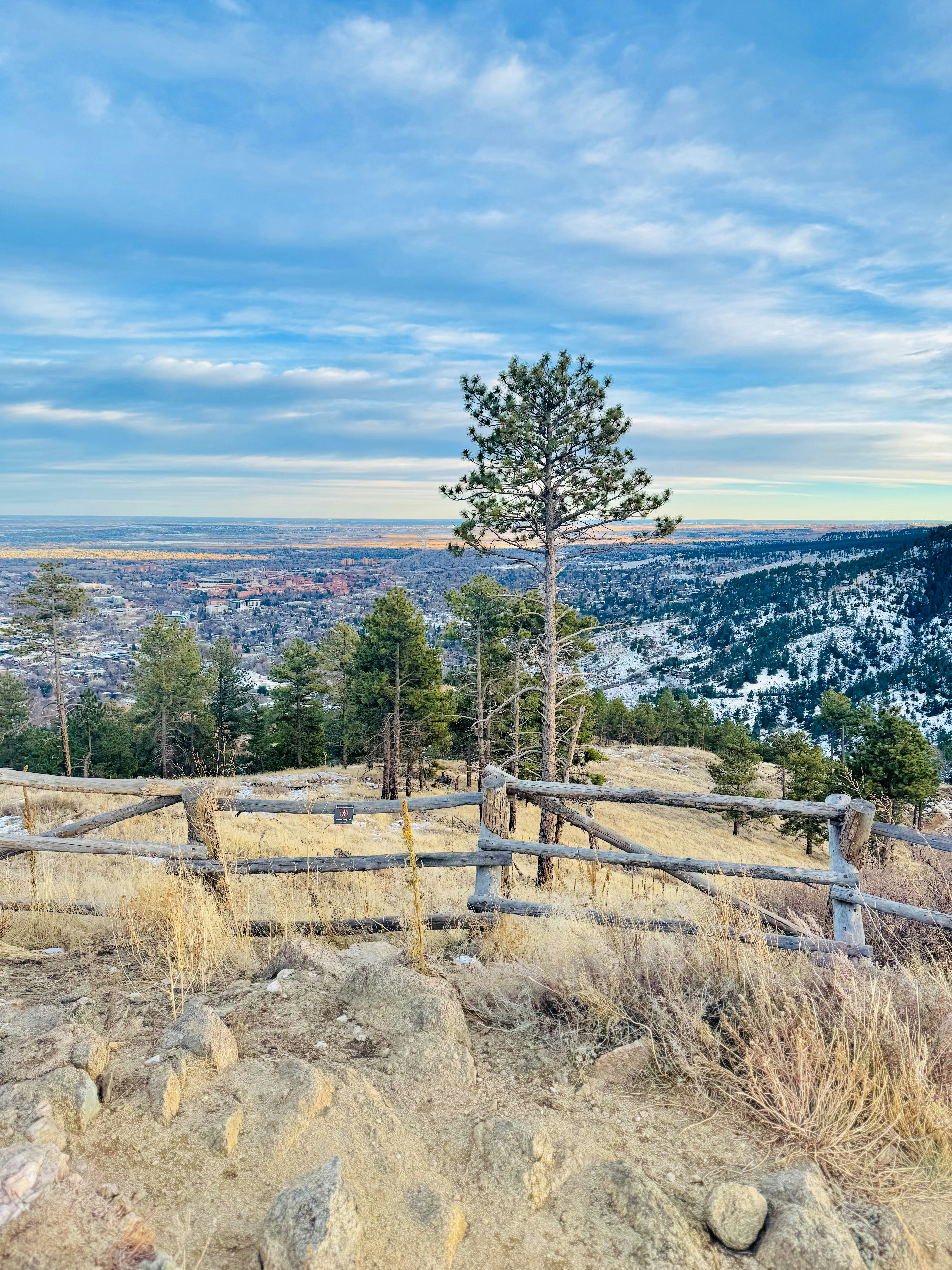 Horizon Gate: Pine atop the Rim