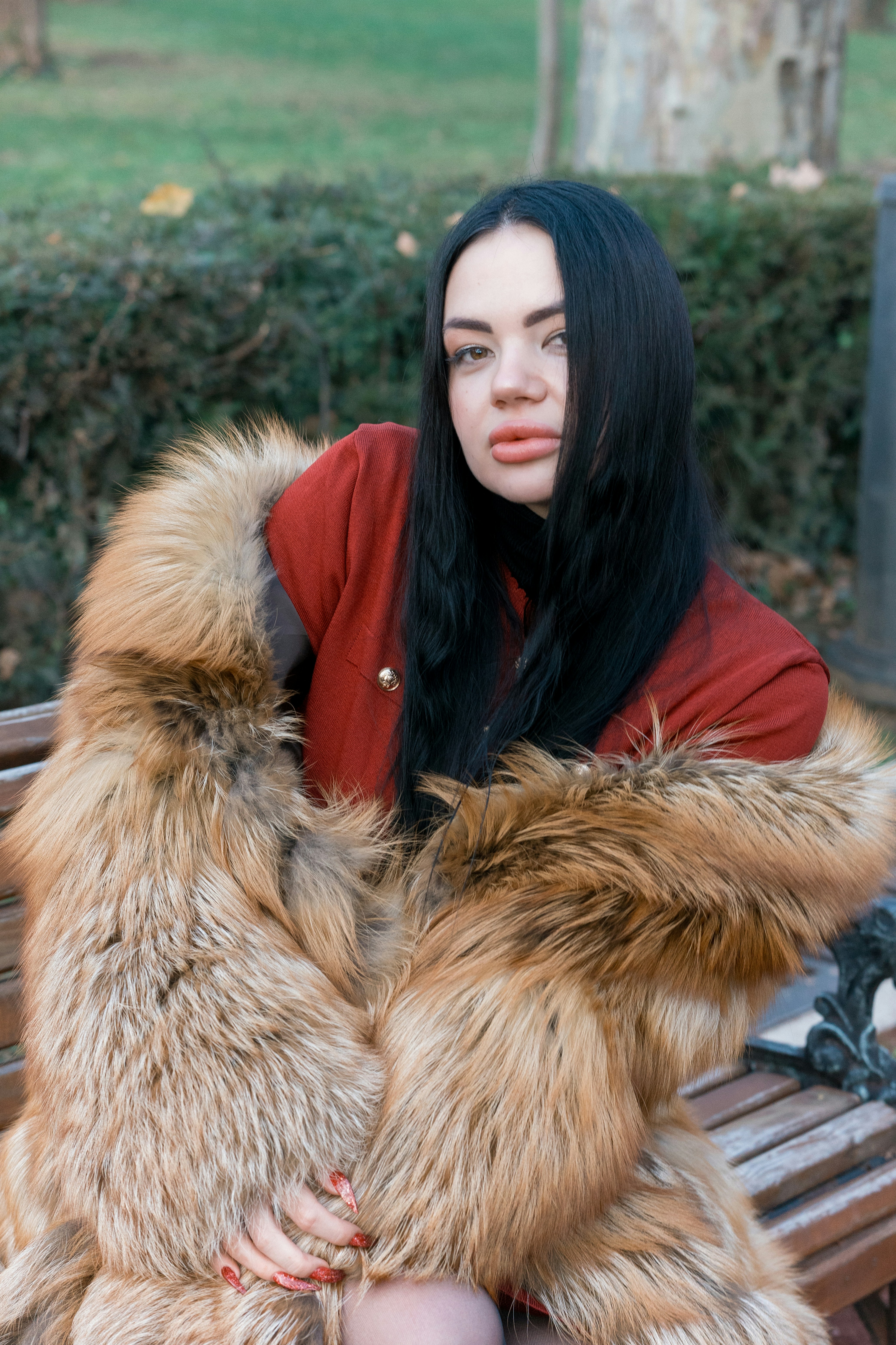 Warmth in Velvet Fur: A Portrait on a Park Bench