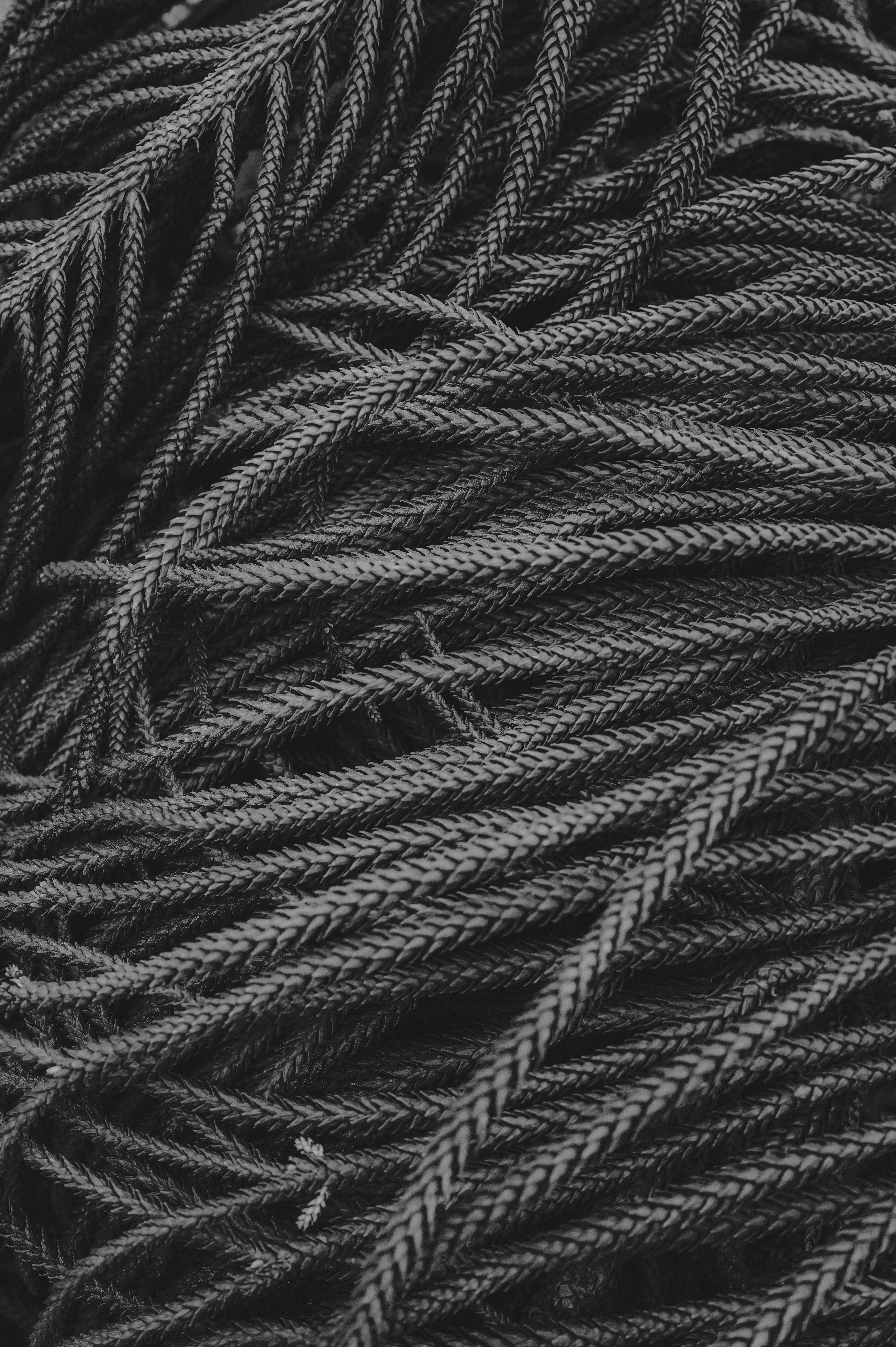 Photo by Anya Chernykh