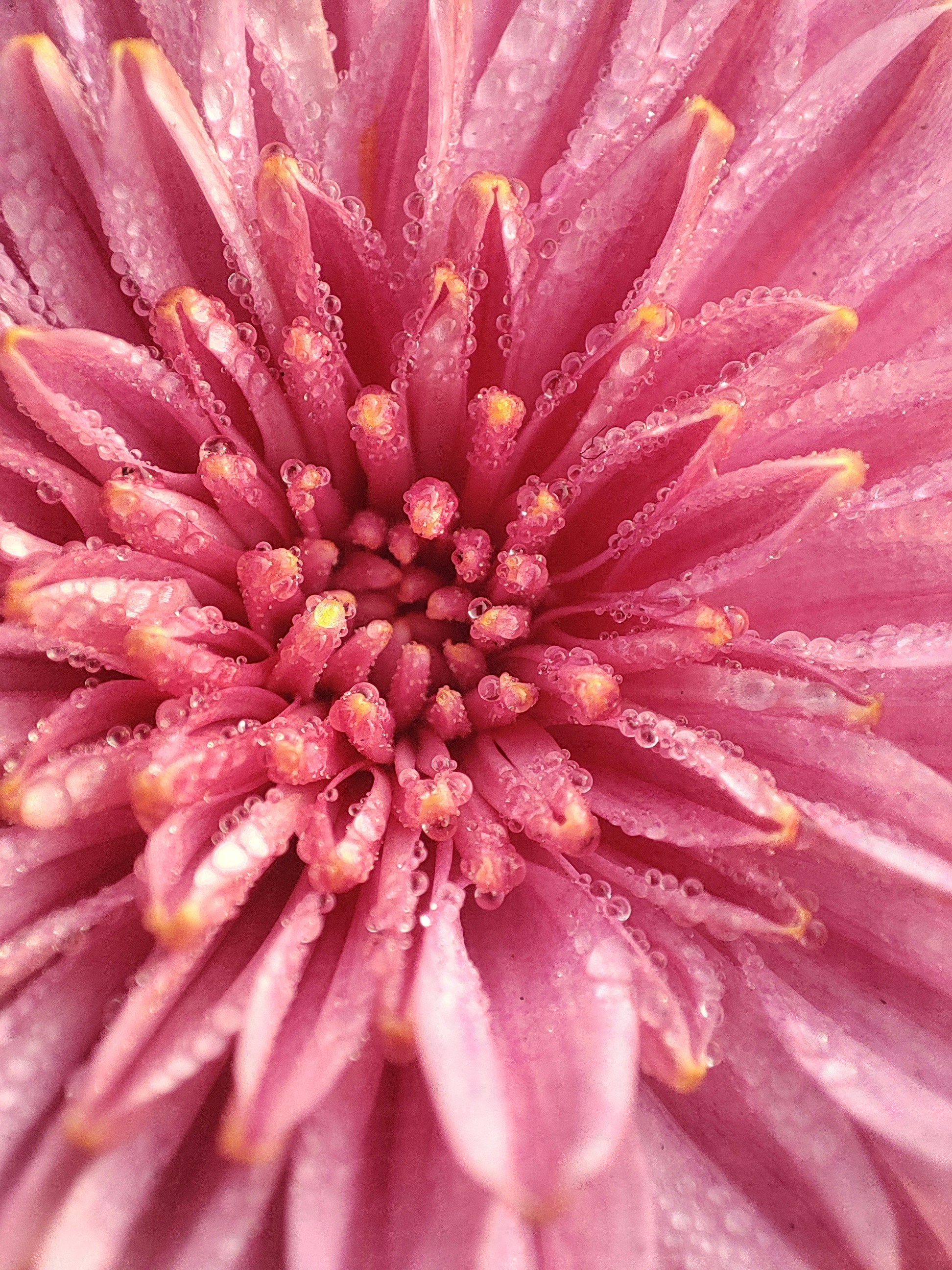 Photo by Adarsh Kumar Singh with Xiaomi Mi 11X