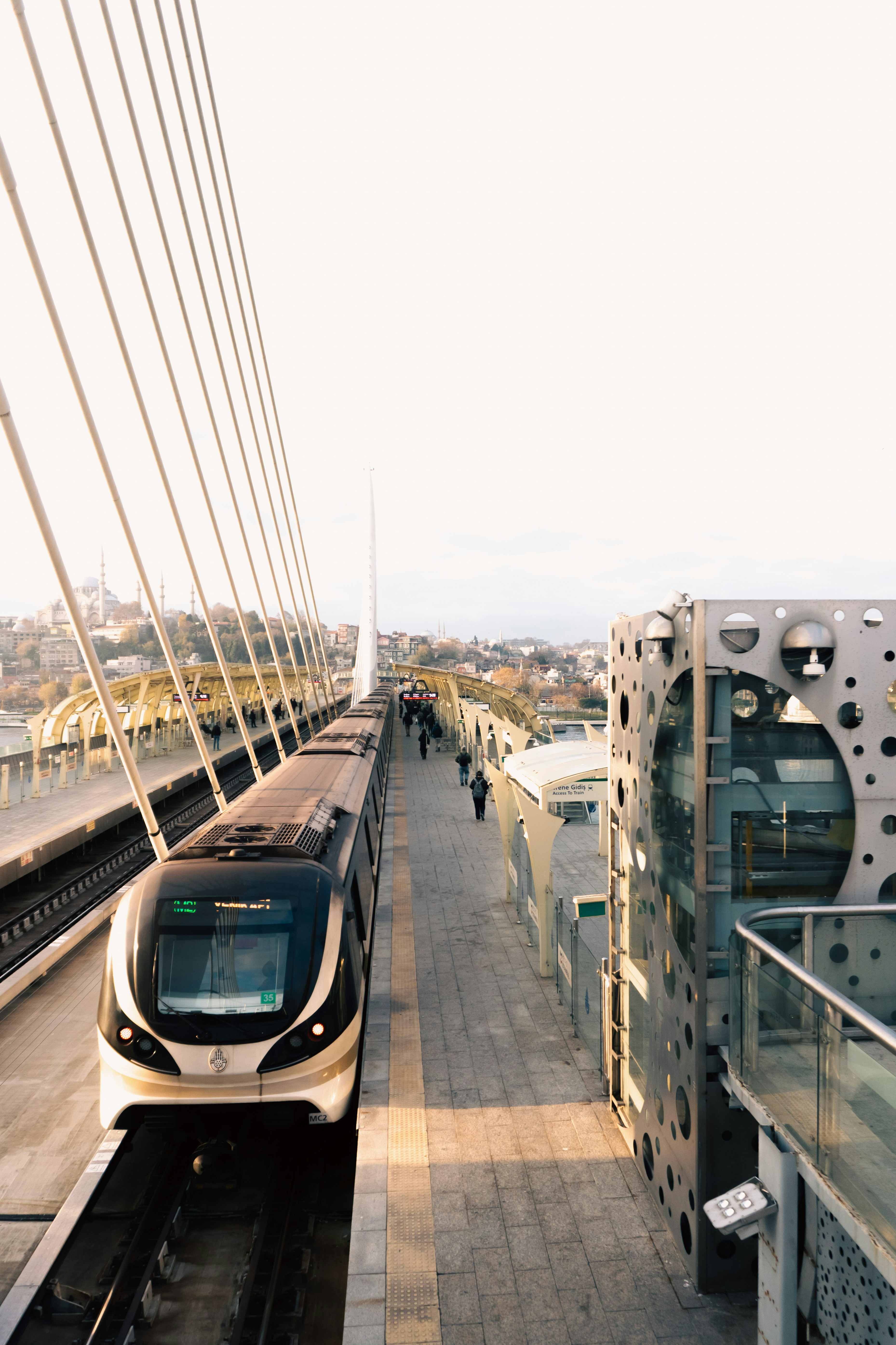 Across the Bridge: Train, Cables, and City Horizon