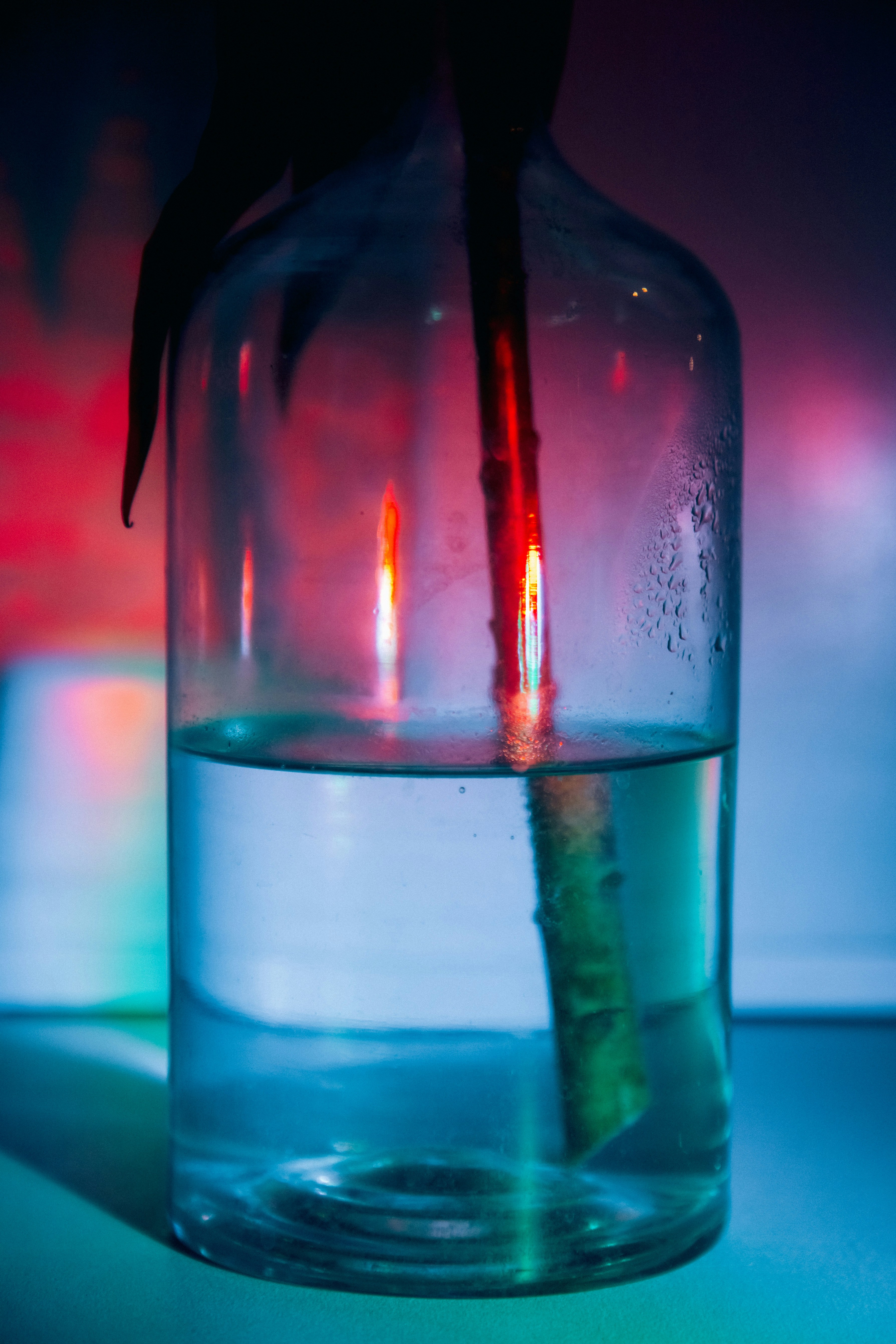 Photo by Klara Kulikova with Canon EOS 6D