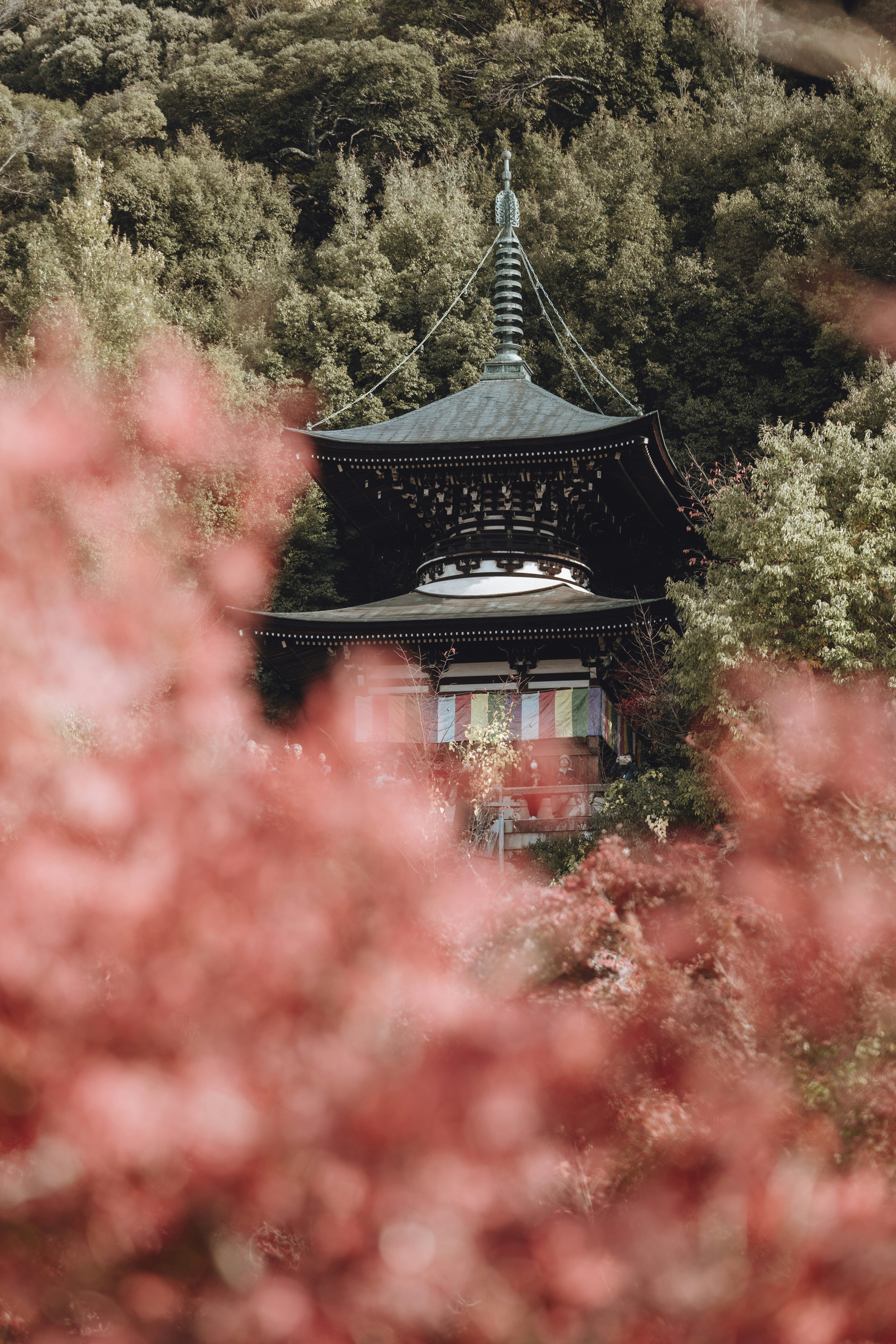 Temple in Bloom: A pagoda framed by crimson foregrounds