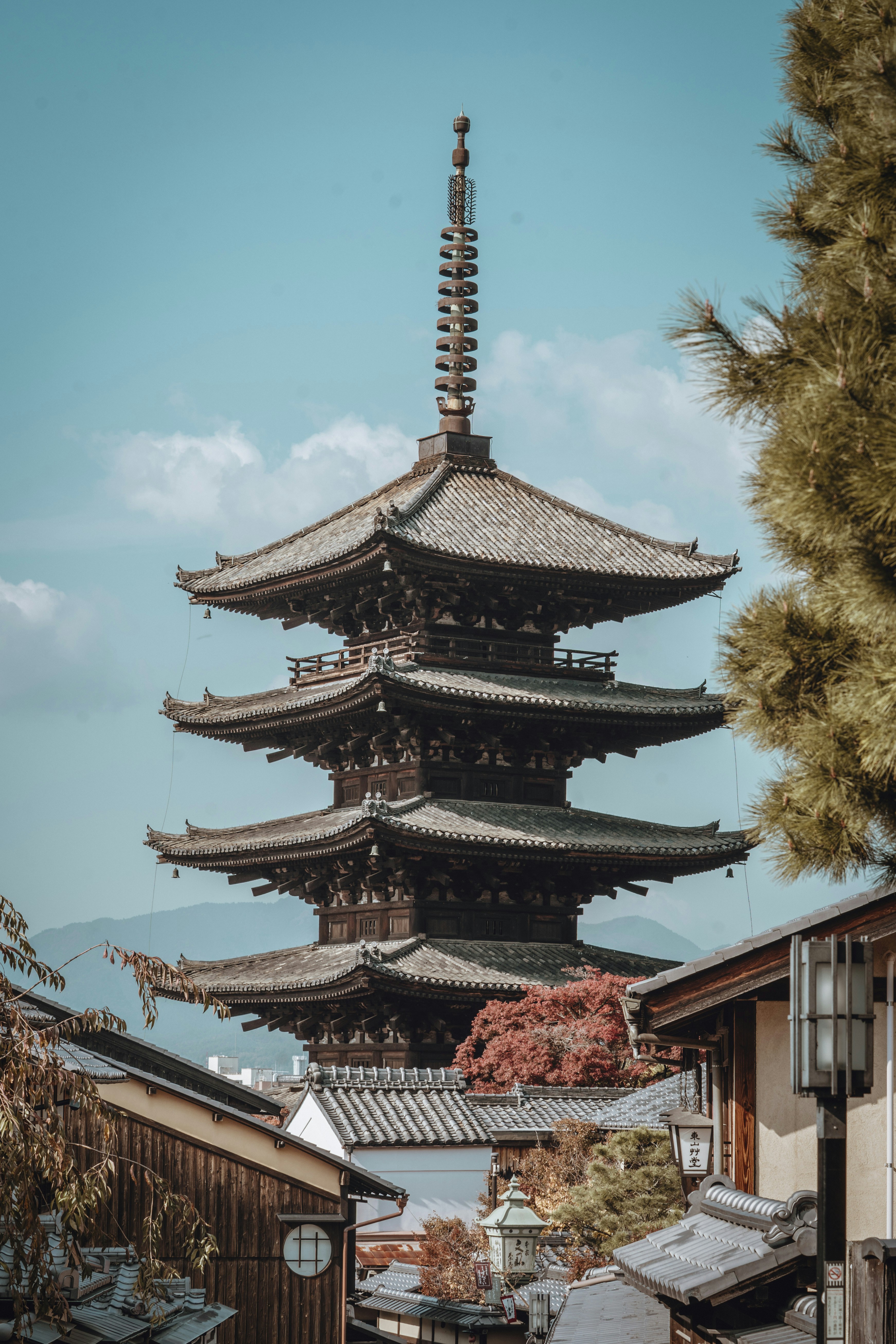 Photo by Dmitri Zotov with Sony Alpha 7 III