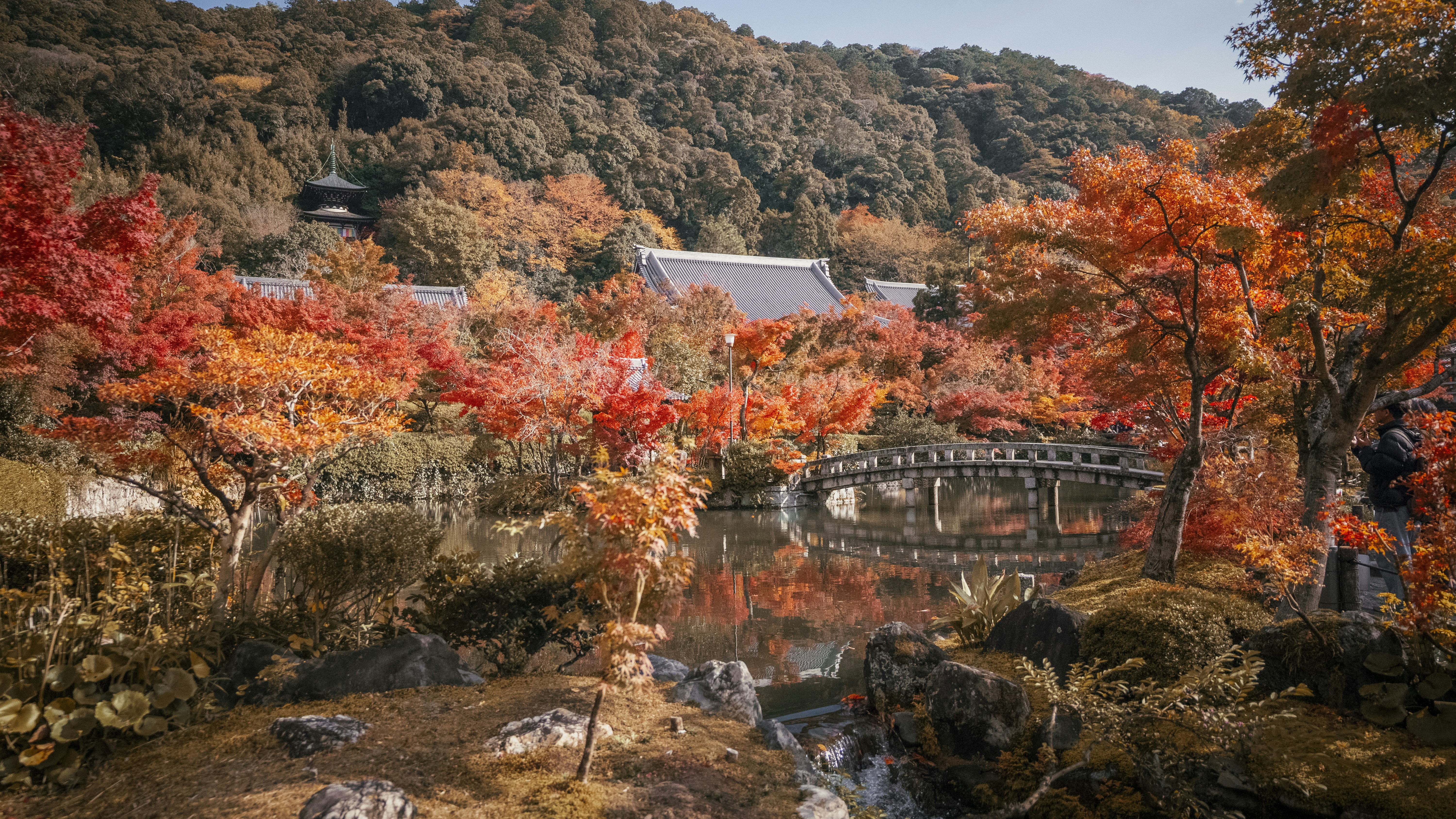 Autumn Serenity Over the Tidal Garden Bridge