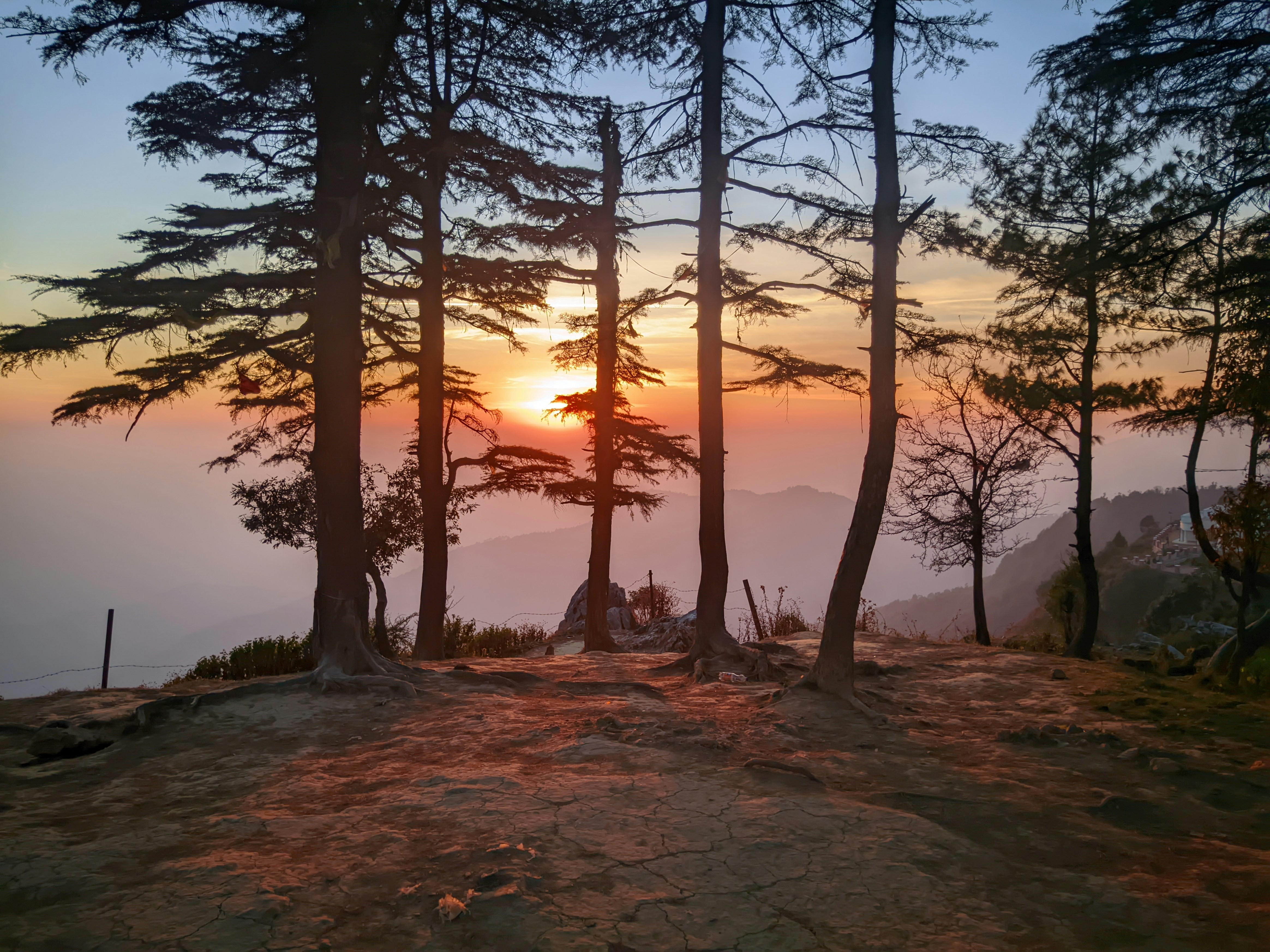 Silhouettes of trees against a vibrant sunset sky.