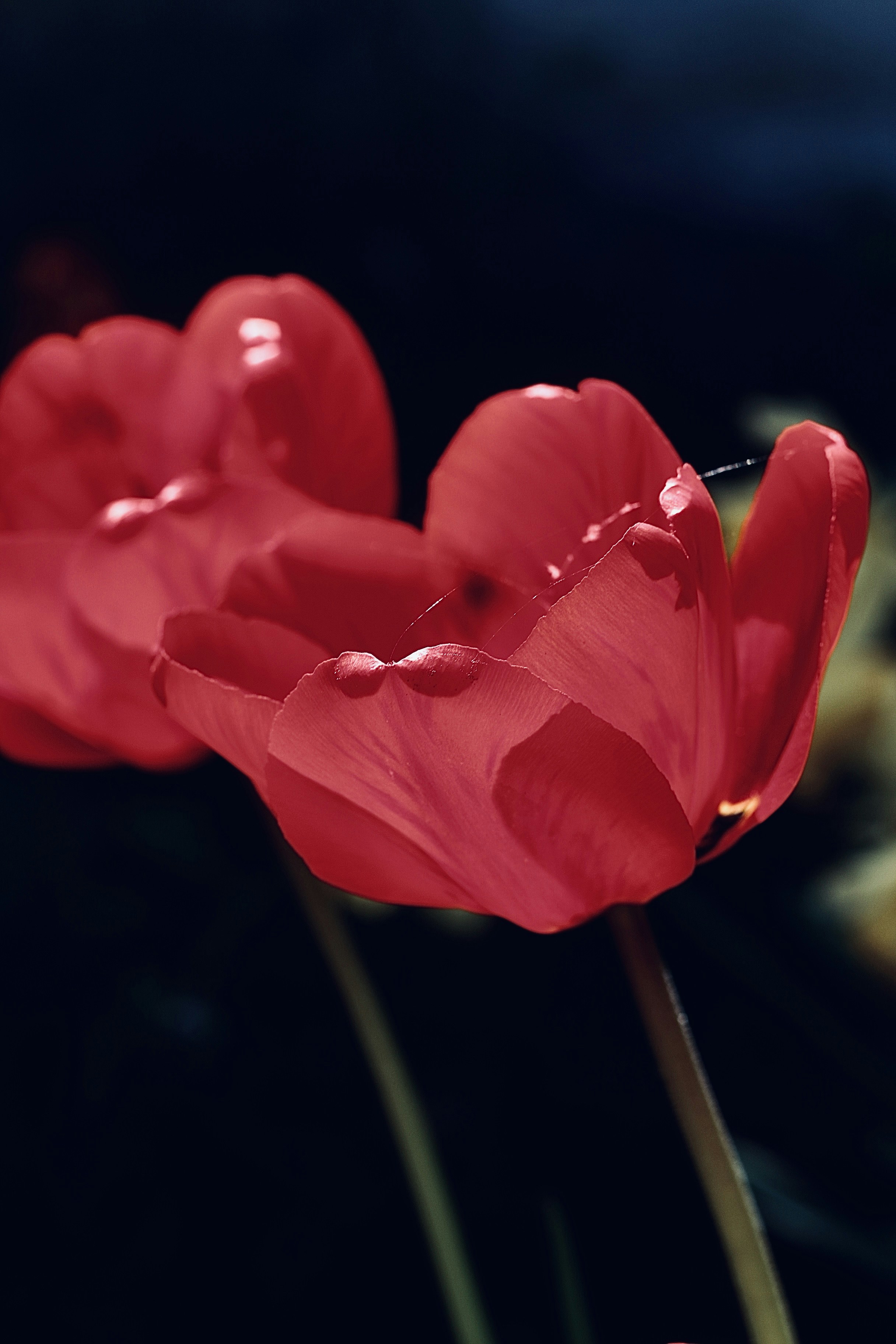 Darsh (@pmx) | Komunitas Foto Unsplash