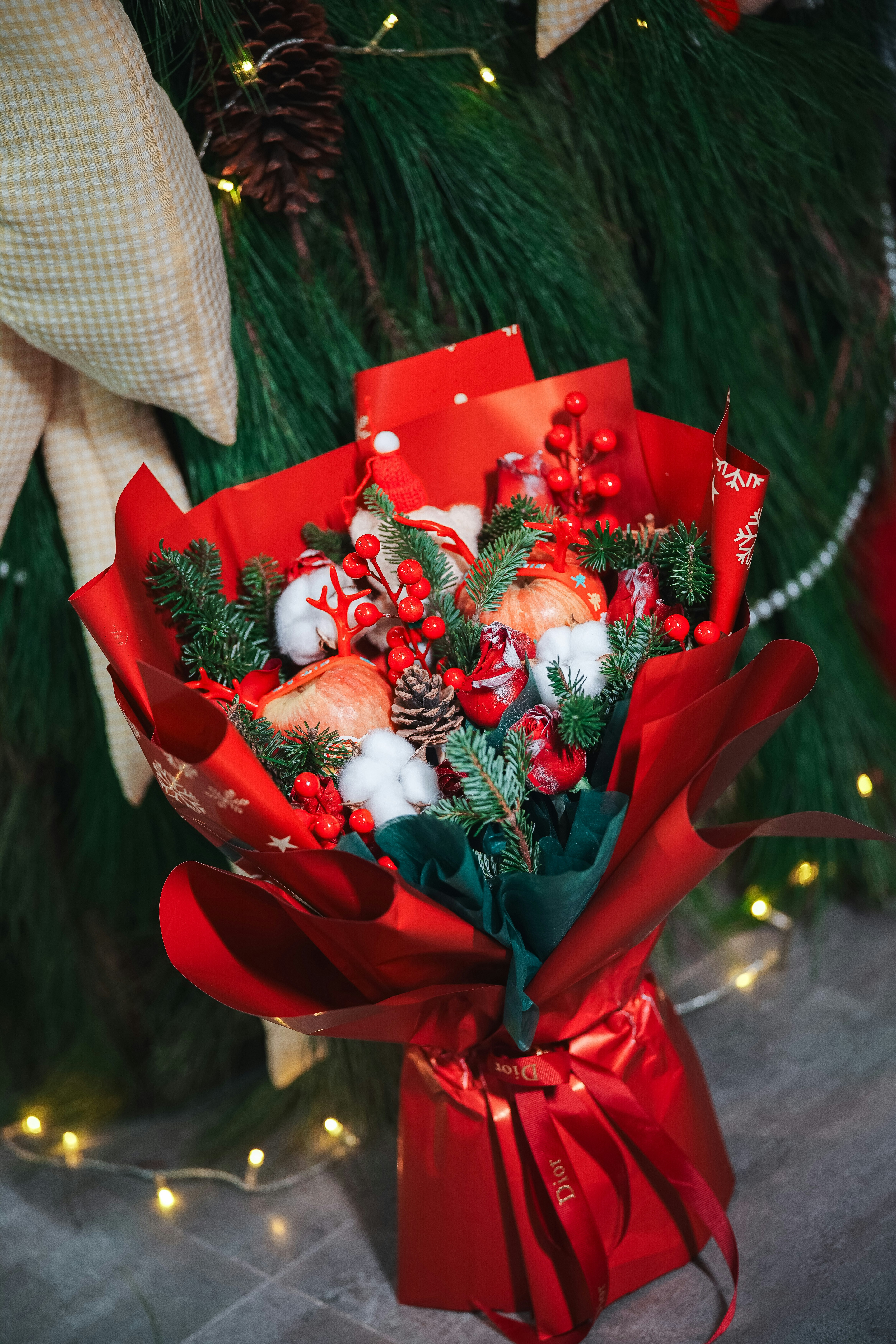 Photo by 光术 山影 with Sony Alpha 7 V