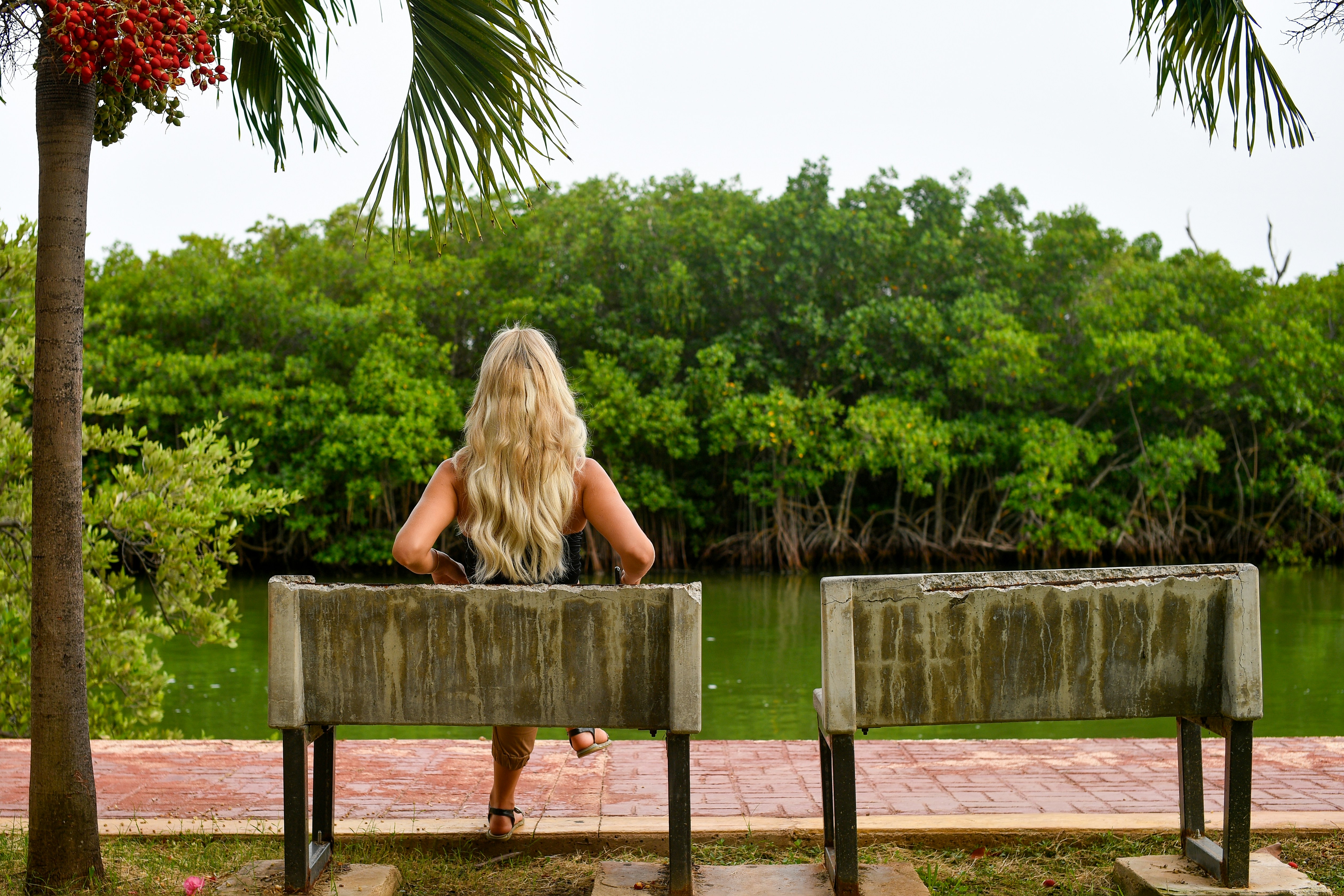Woman with long blonde hair sitting on a bench facing a green mangrove backdrop by a calm water
