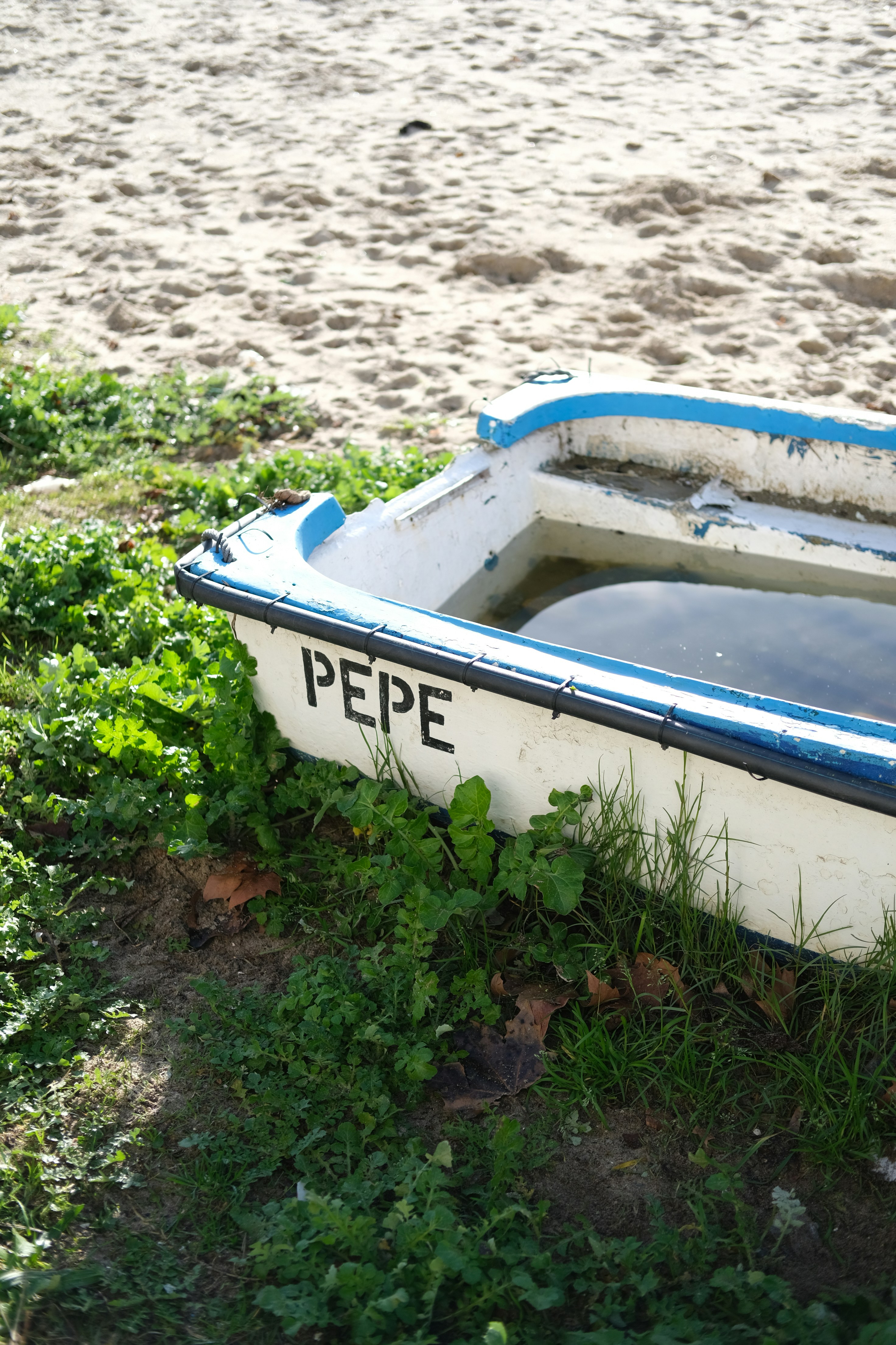 Pepe’s Old Boat Awakening Among Green Edges