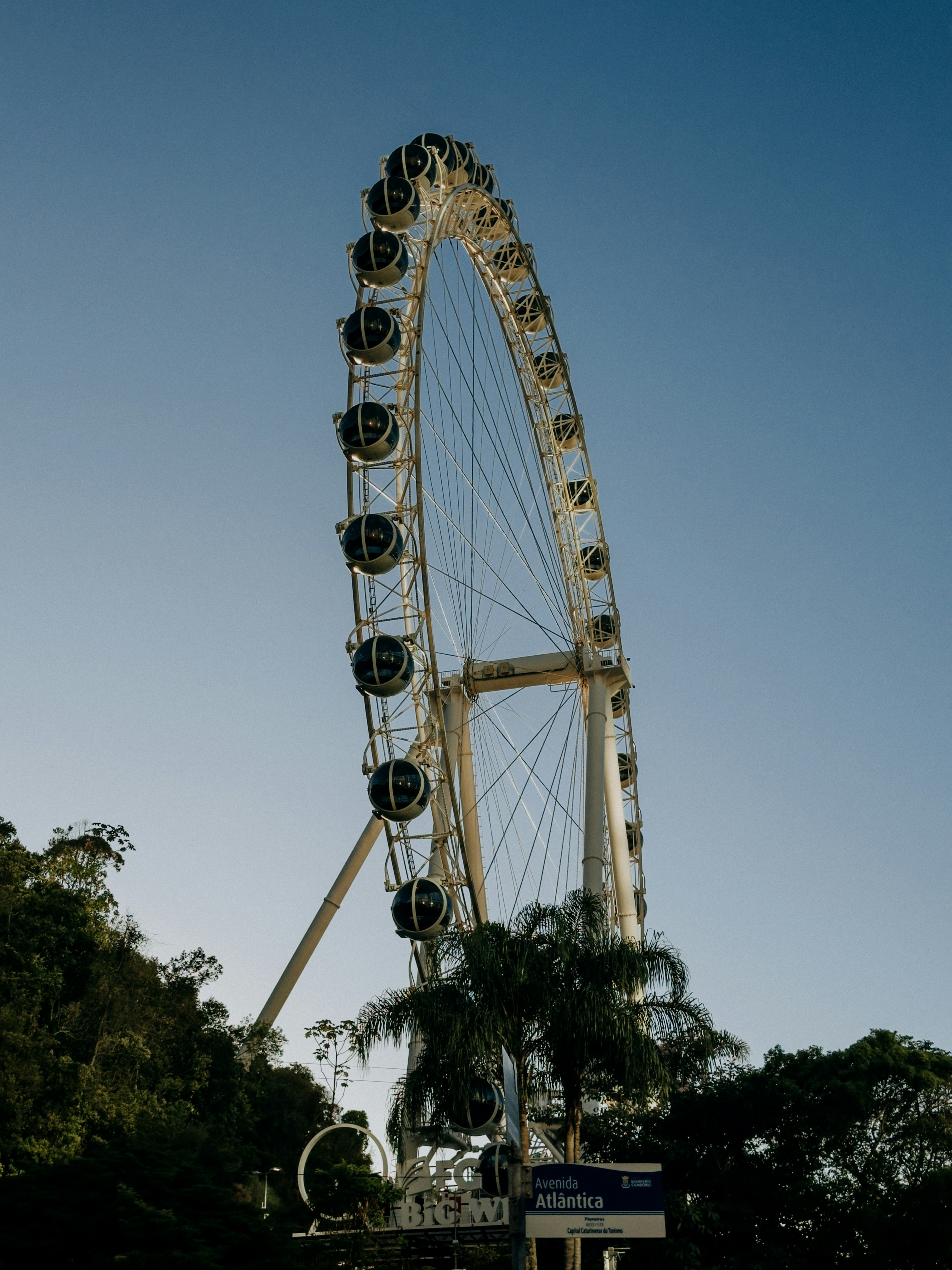 Giant Wheel Reaching for the Sky