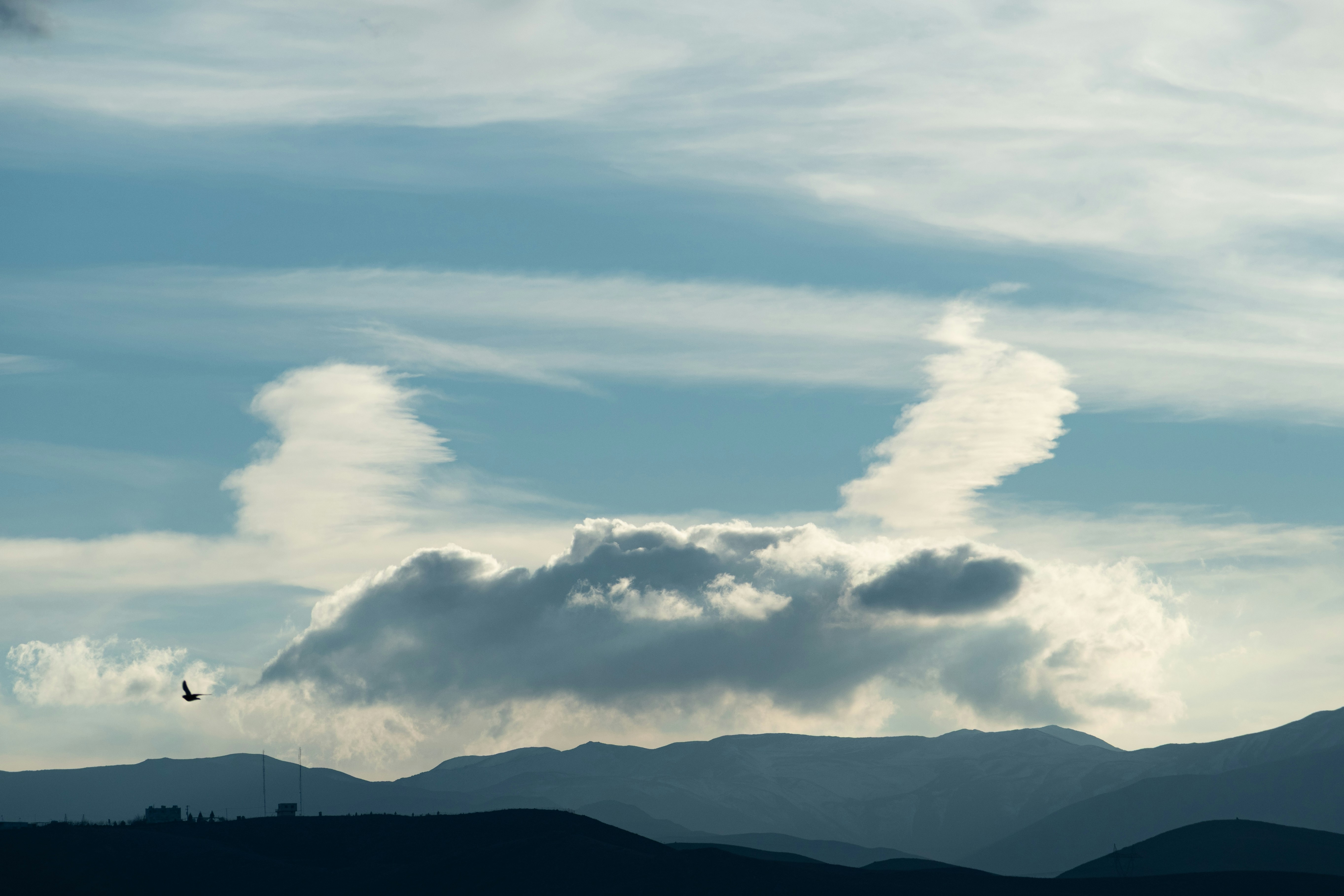 Winged Quiet: A lone bird above the blue silhouette of distant ridges