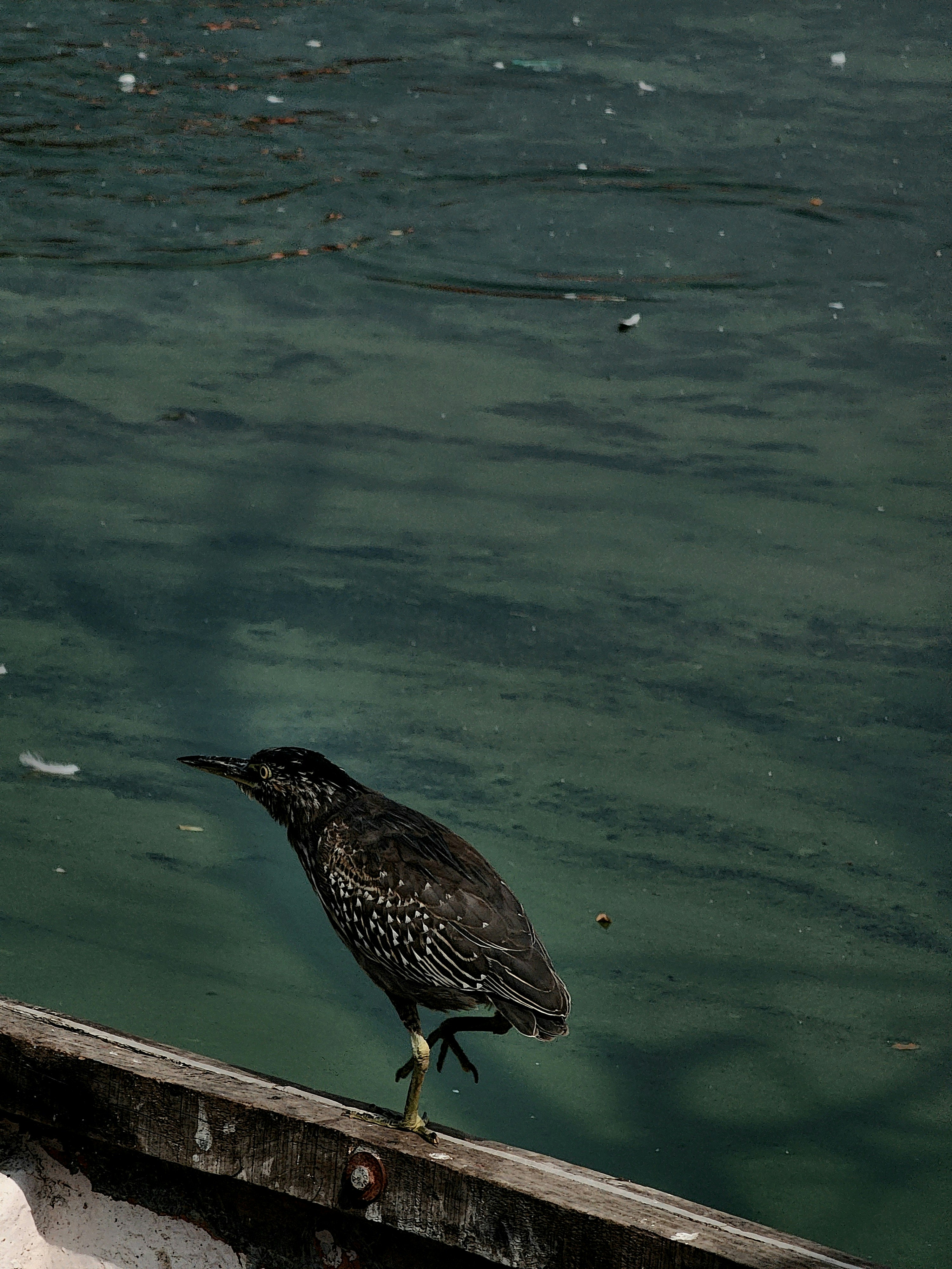 Photo by krusharth kapatel with Samsung Galaxy S22 Ultra