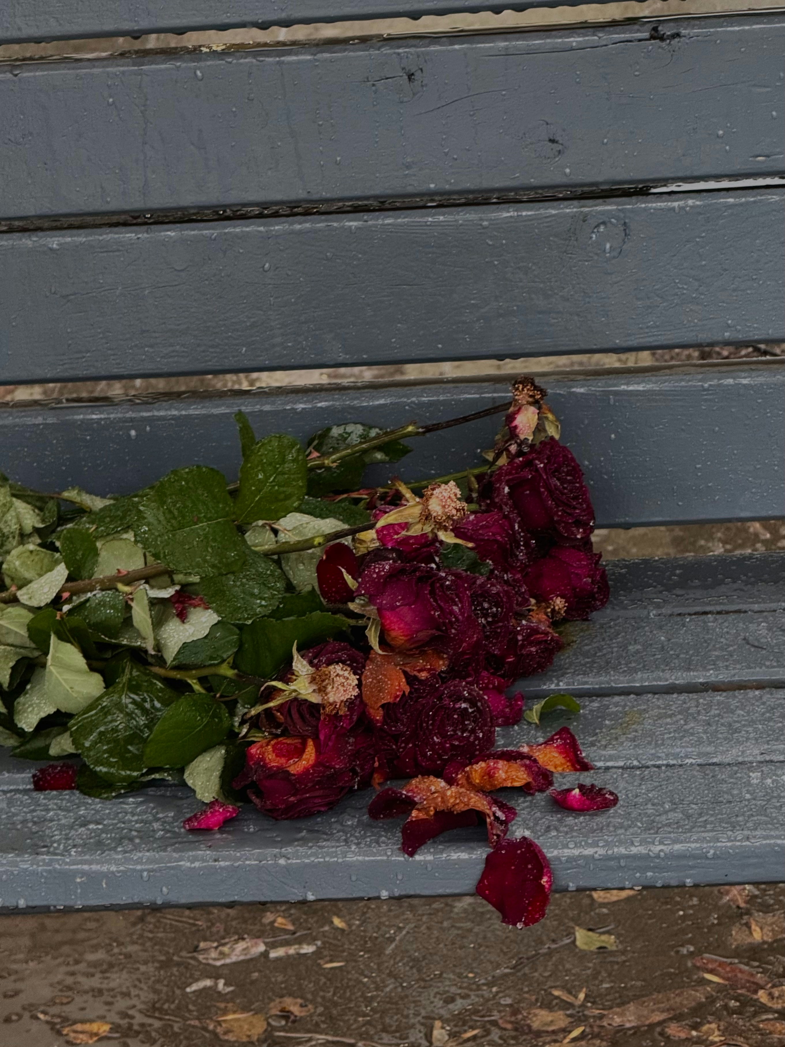 Photo by Valeria with Apple iPhone 15 Pro Max