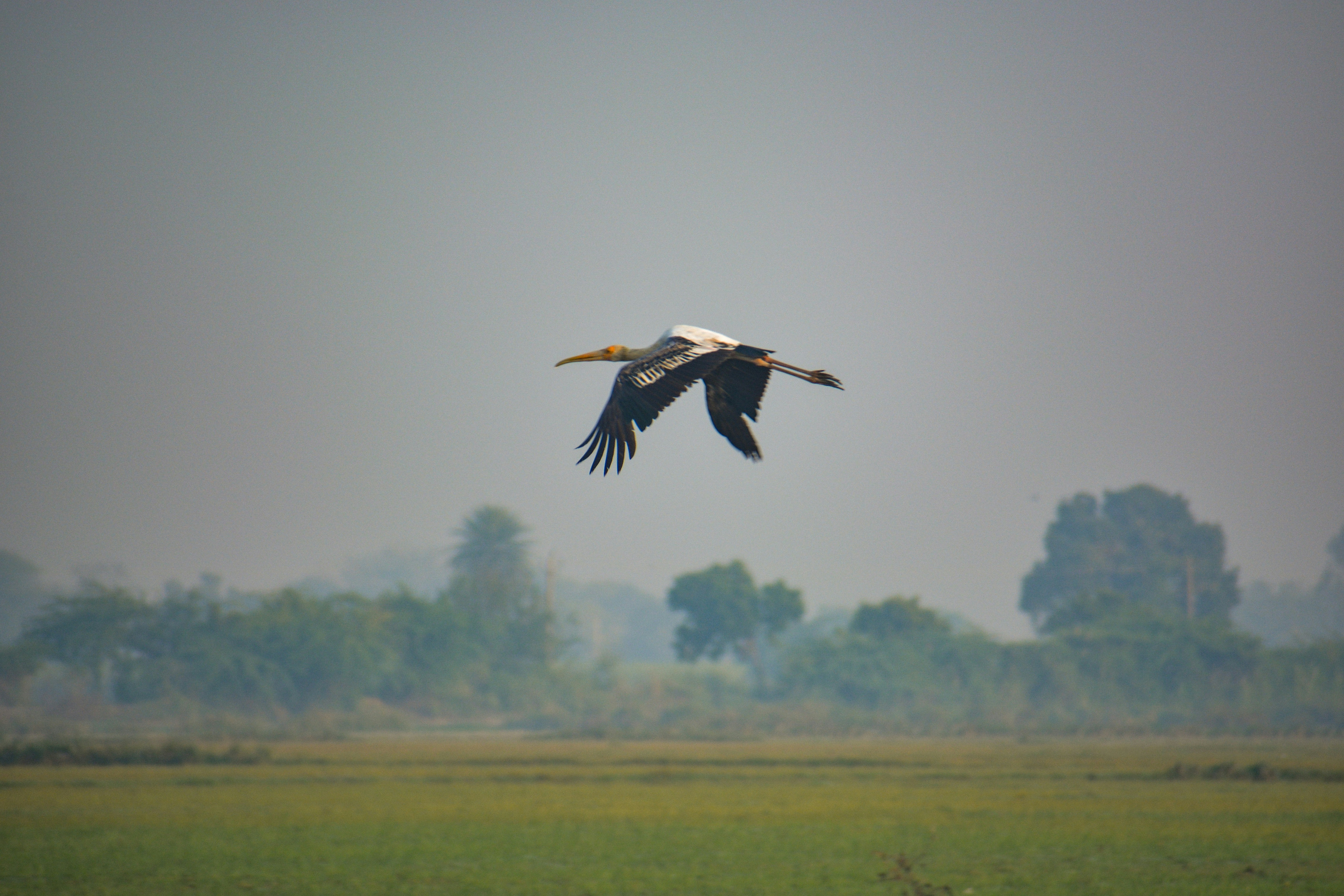 Photo by Ankit Srivastava with Nikon D5200