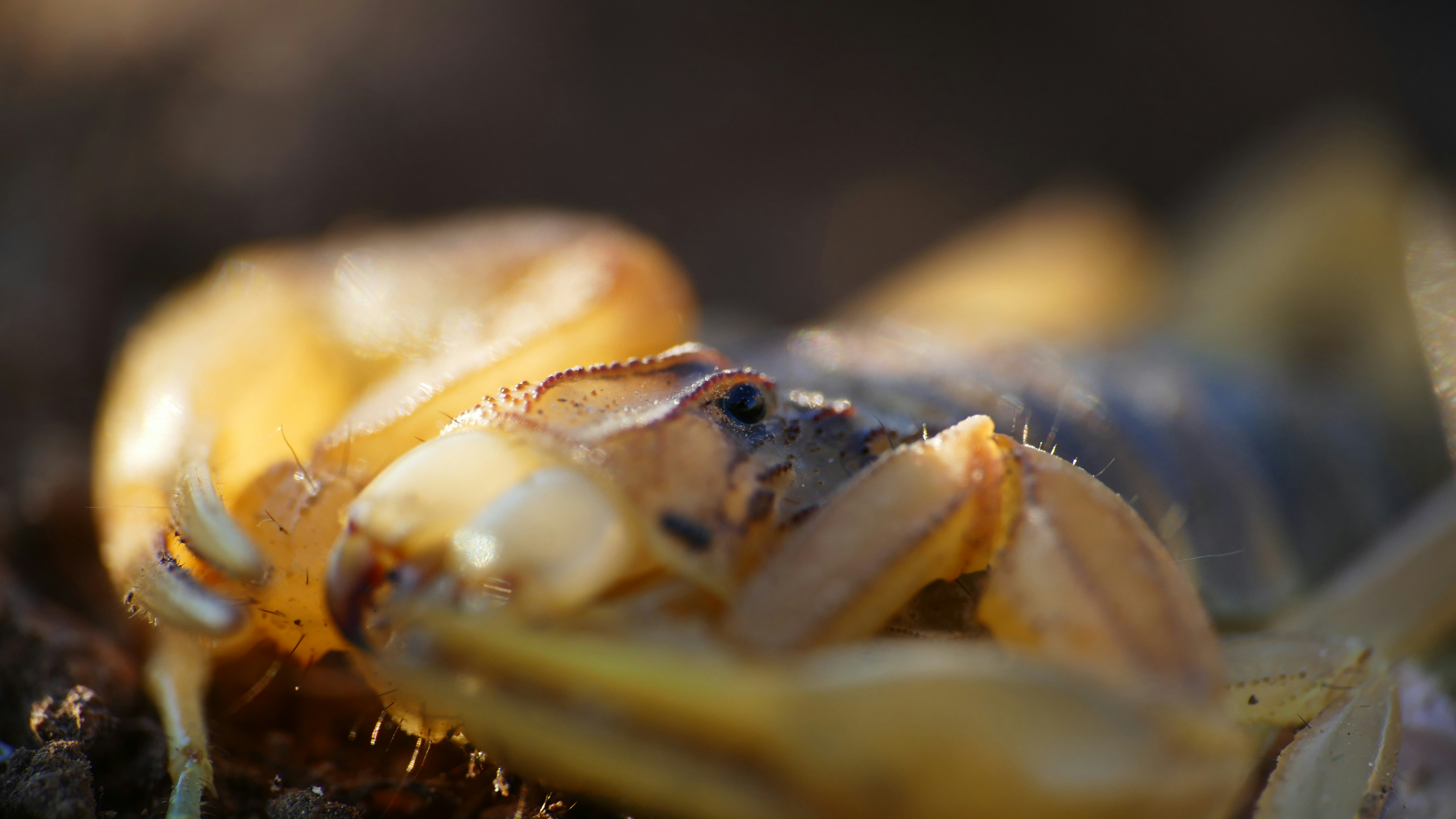 Marcus Lange (@marcusl) | Communauté photos Unsplash