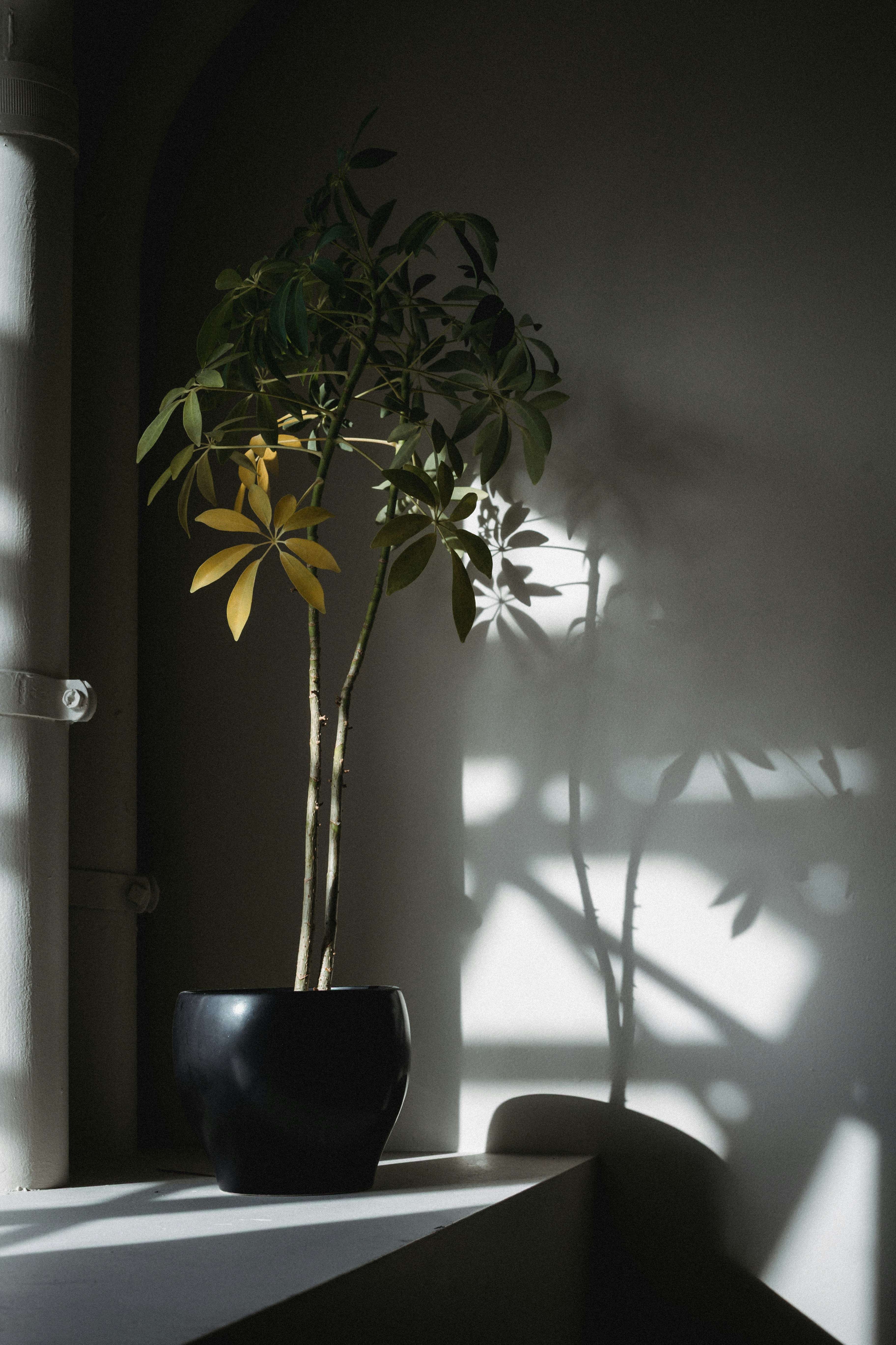 Photo by Jason Leung with Canon EOS R6