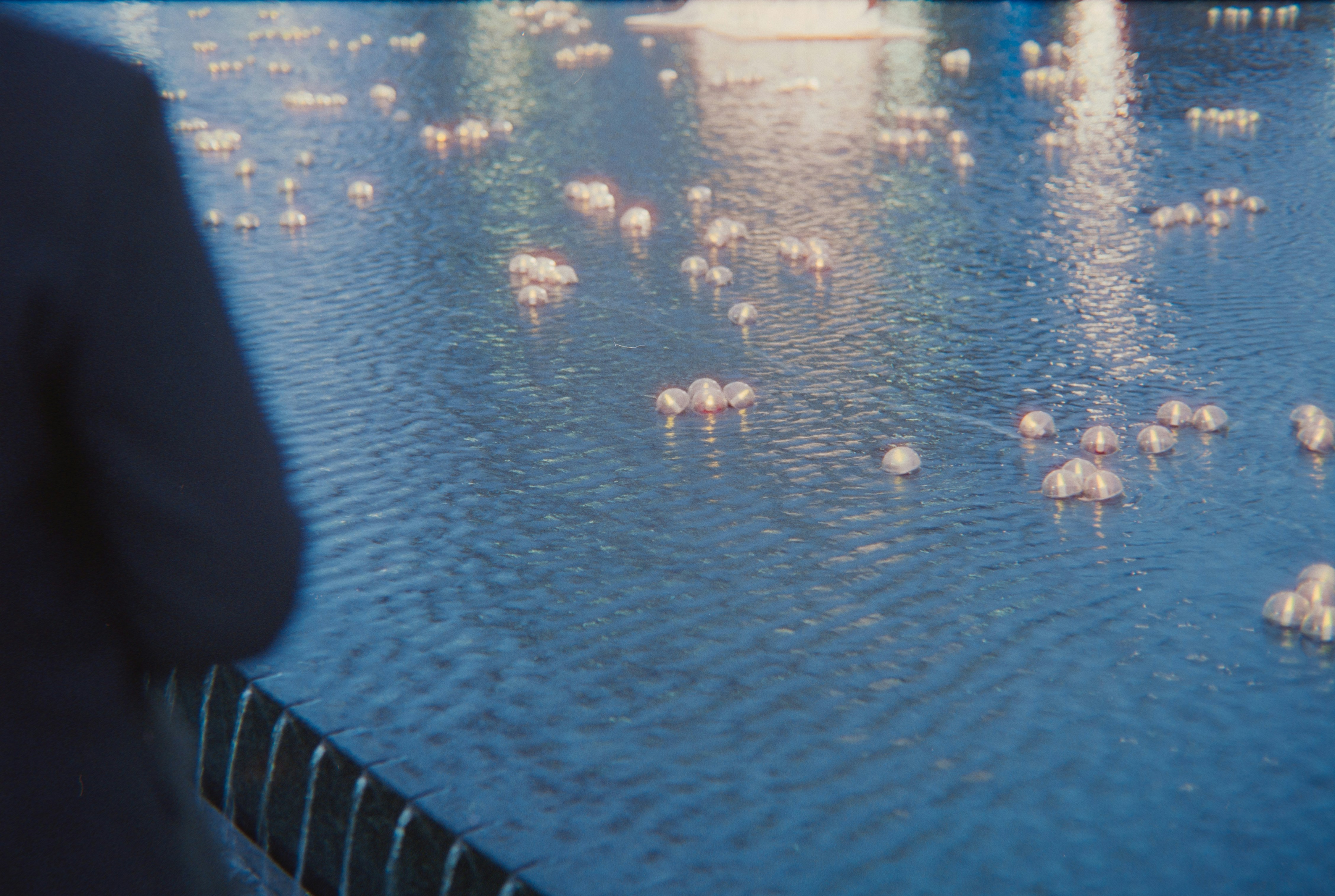 Flock of Luminescent Orbs on a Calm Blue Channel