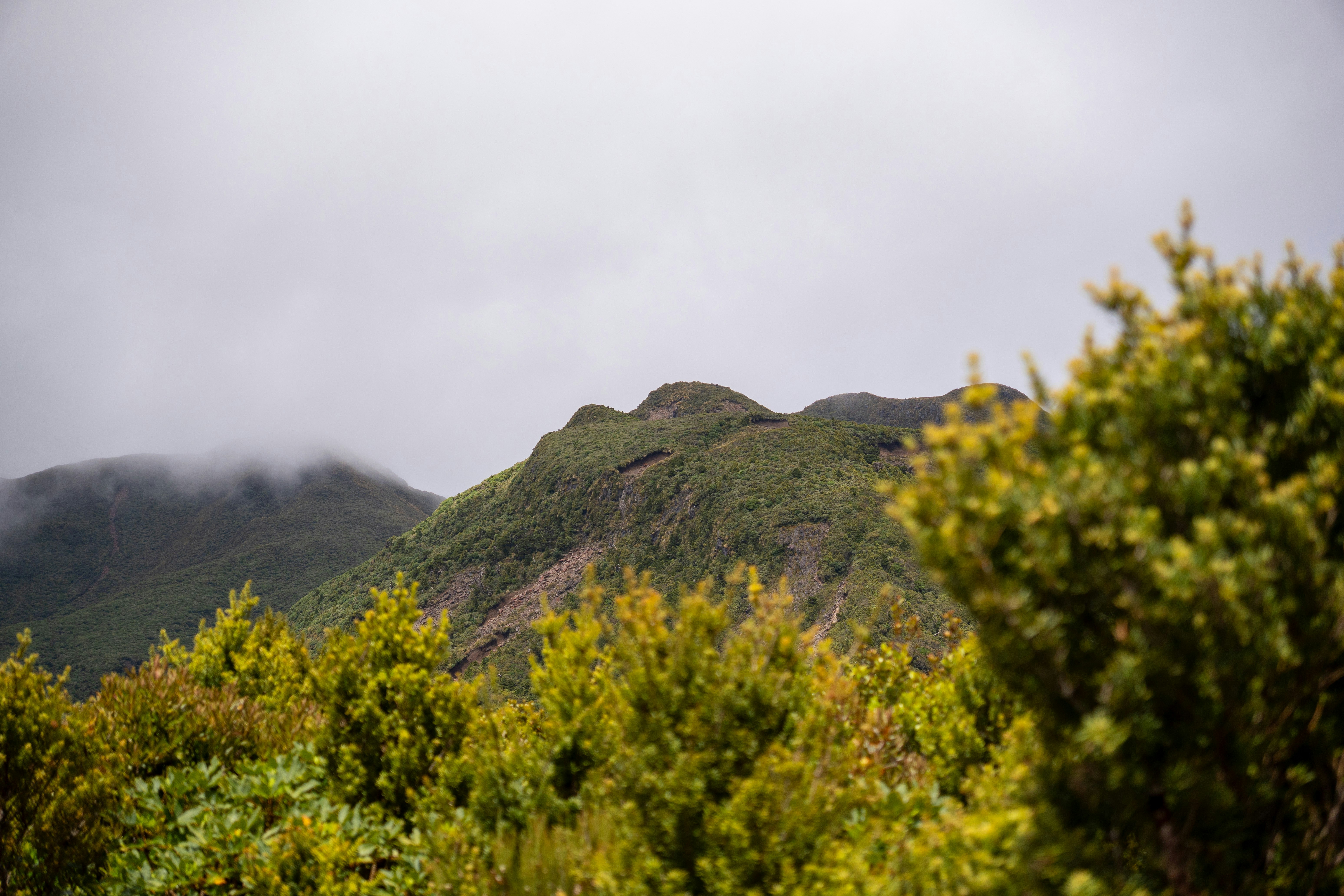 Green Ridge Under Mist: A Mountain Crest Peeking Through Early Mist