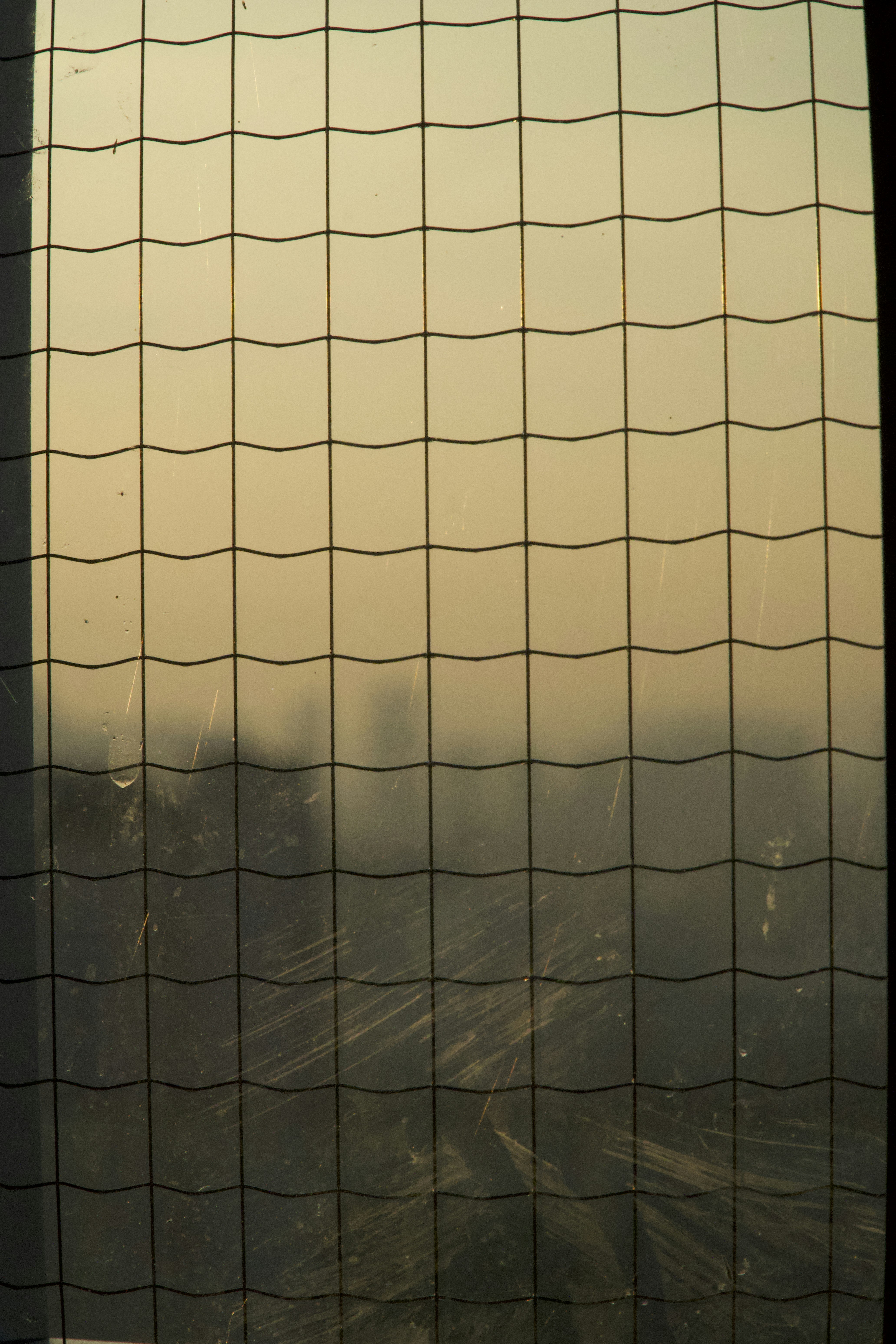 Sunset Veil on a Woven Grid